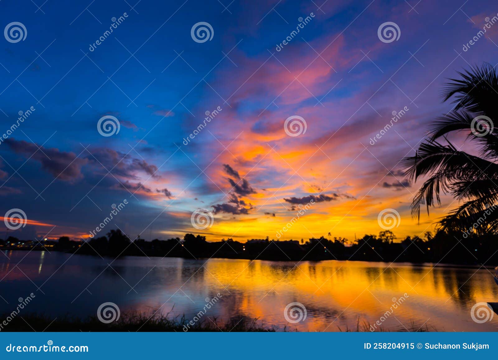 Silhouette Twilight Of Atmosphere Sunset, Natural View Of Trees Royalty ...