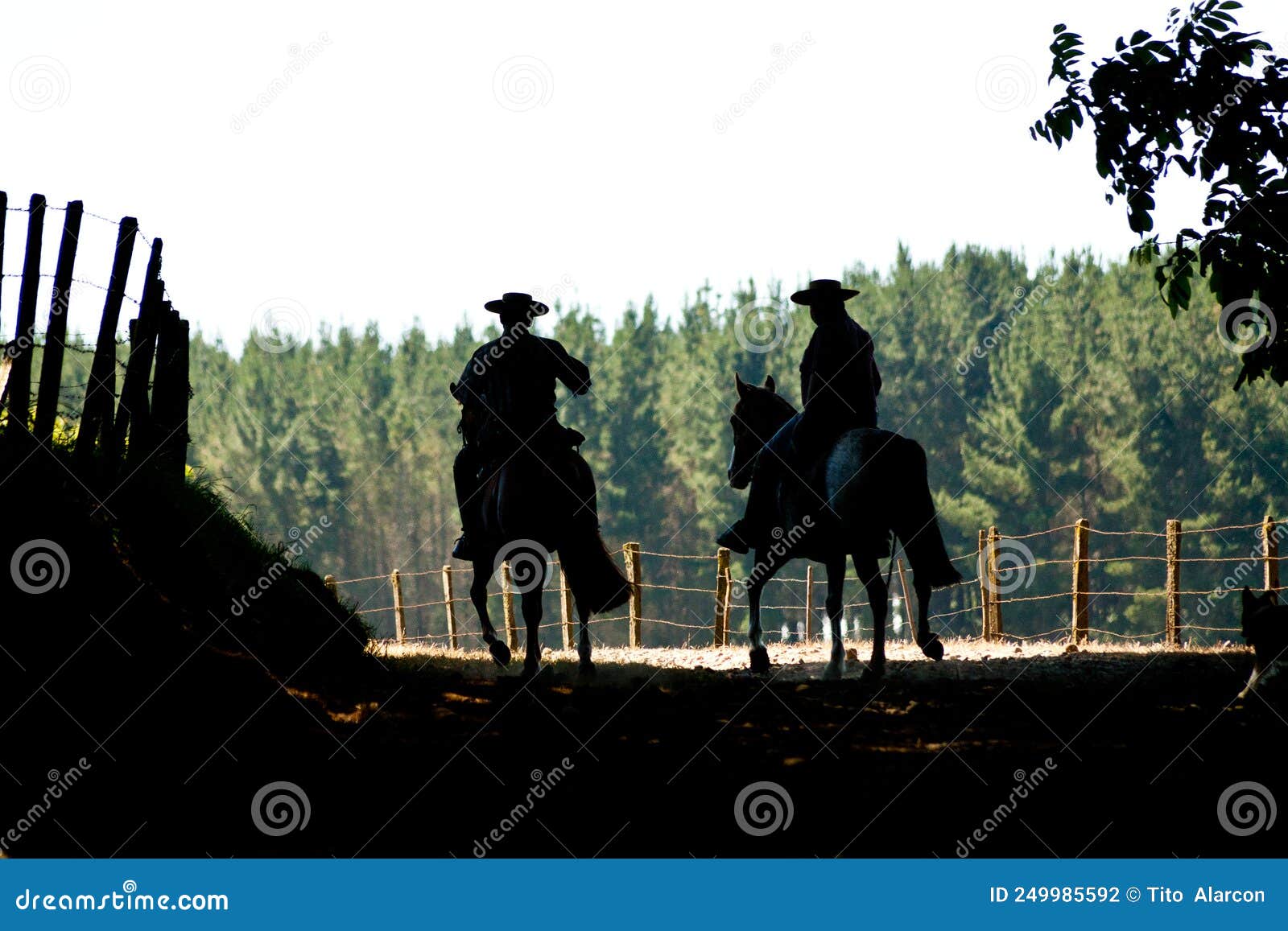 Silhouette of Two Men on Horseback, Going Up a Path Stock Photo - Image ...