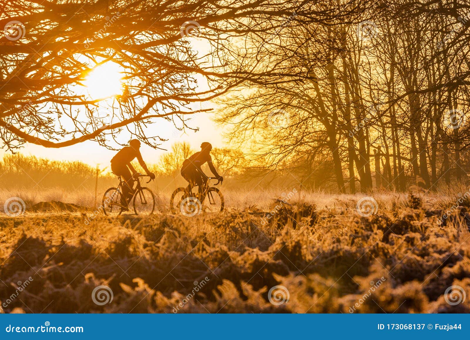Silhouette of Two Men Riding Bicycles. Stock Image - Image of bicycles ...