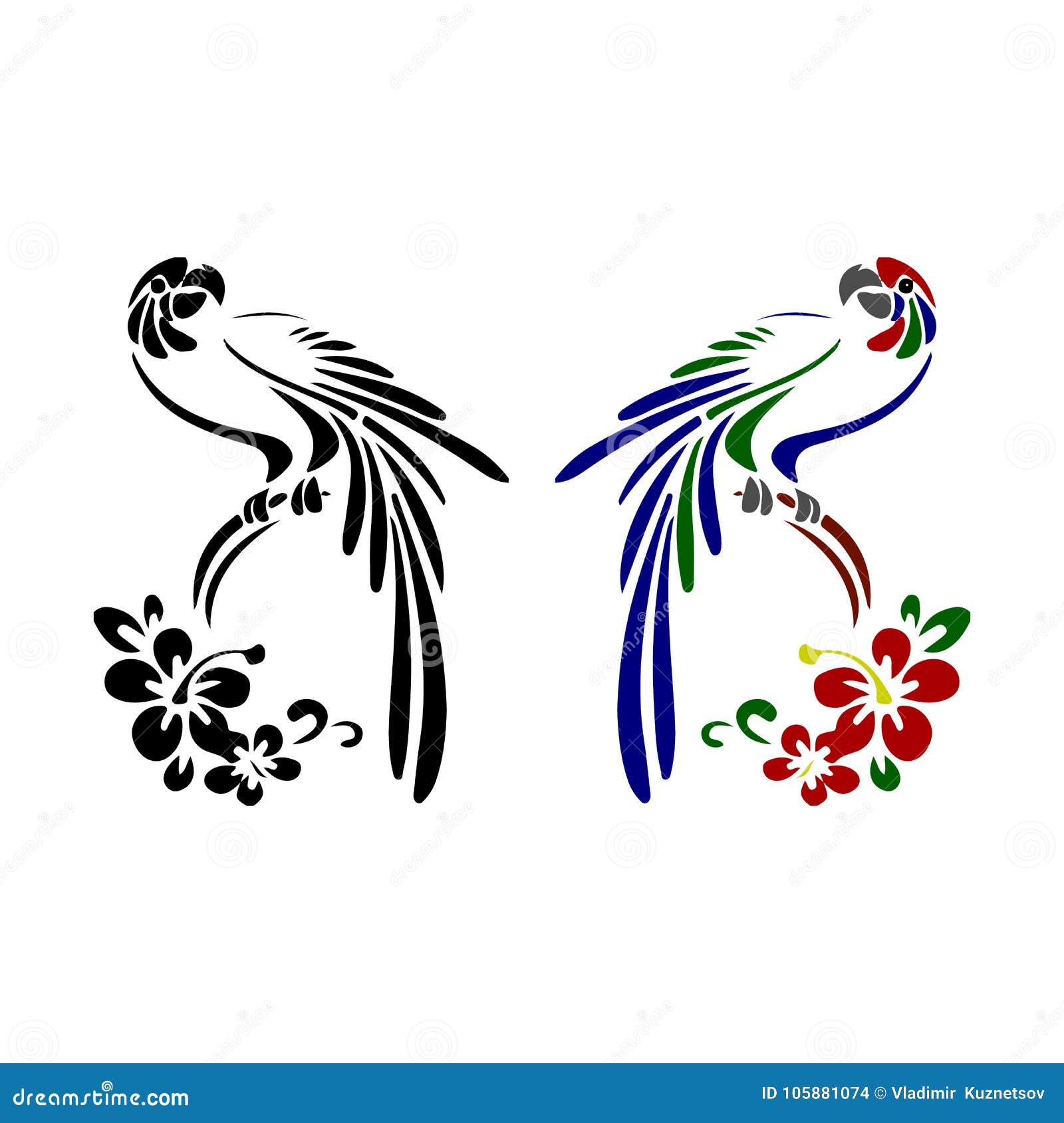 Silhouette of Two Parrots Color and Black, Cartoon on White Ba Stock ...
