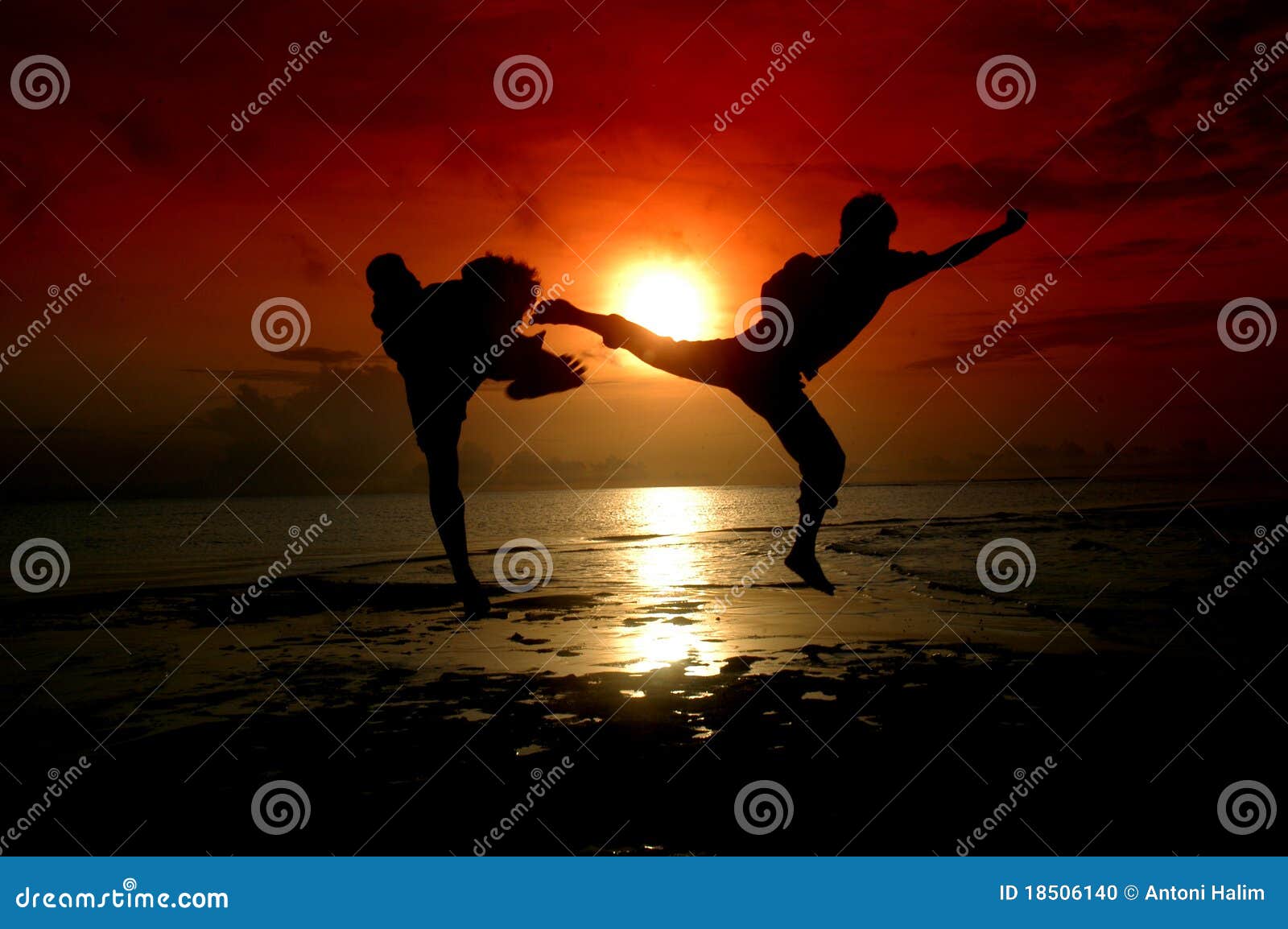 Silhouette Of Two People Fighting Stock Photo - Image: 18506140