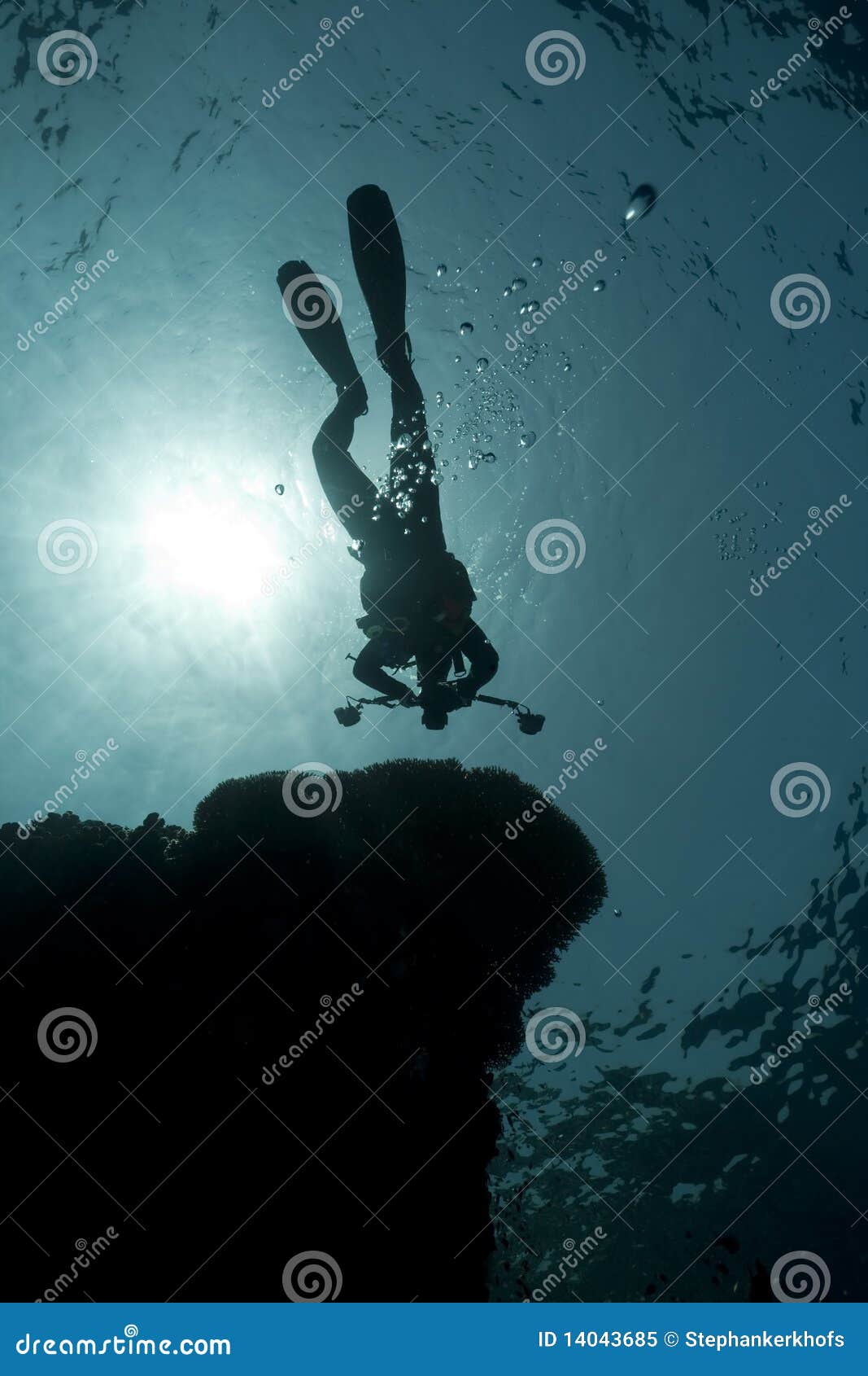 Silhouette of an Underwater Photographer Stock Image - Image of fish ...