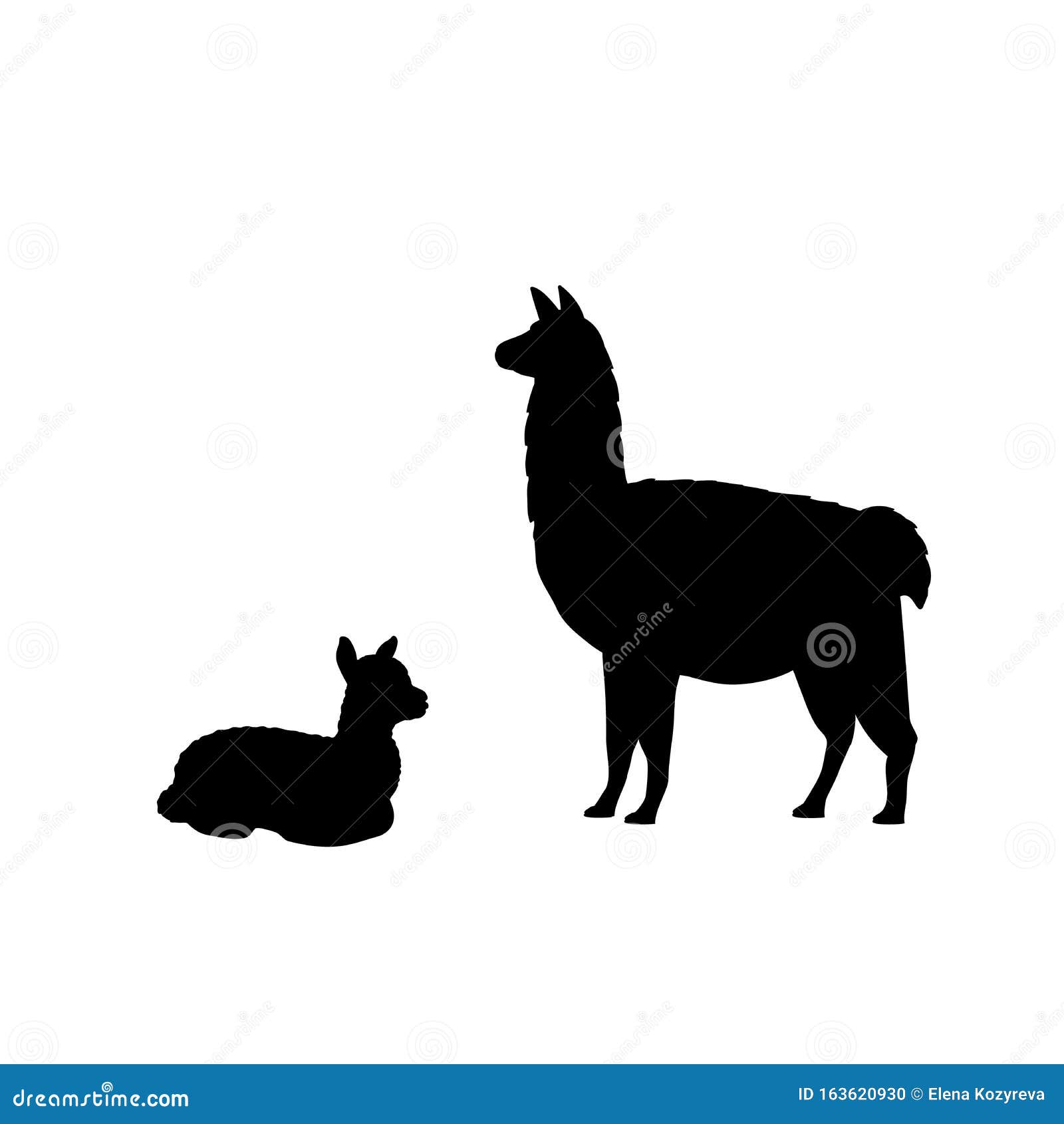 Silhouette Van Lama Alpaca En Jonge Lama Alpaca Vector Illustratie ...