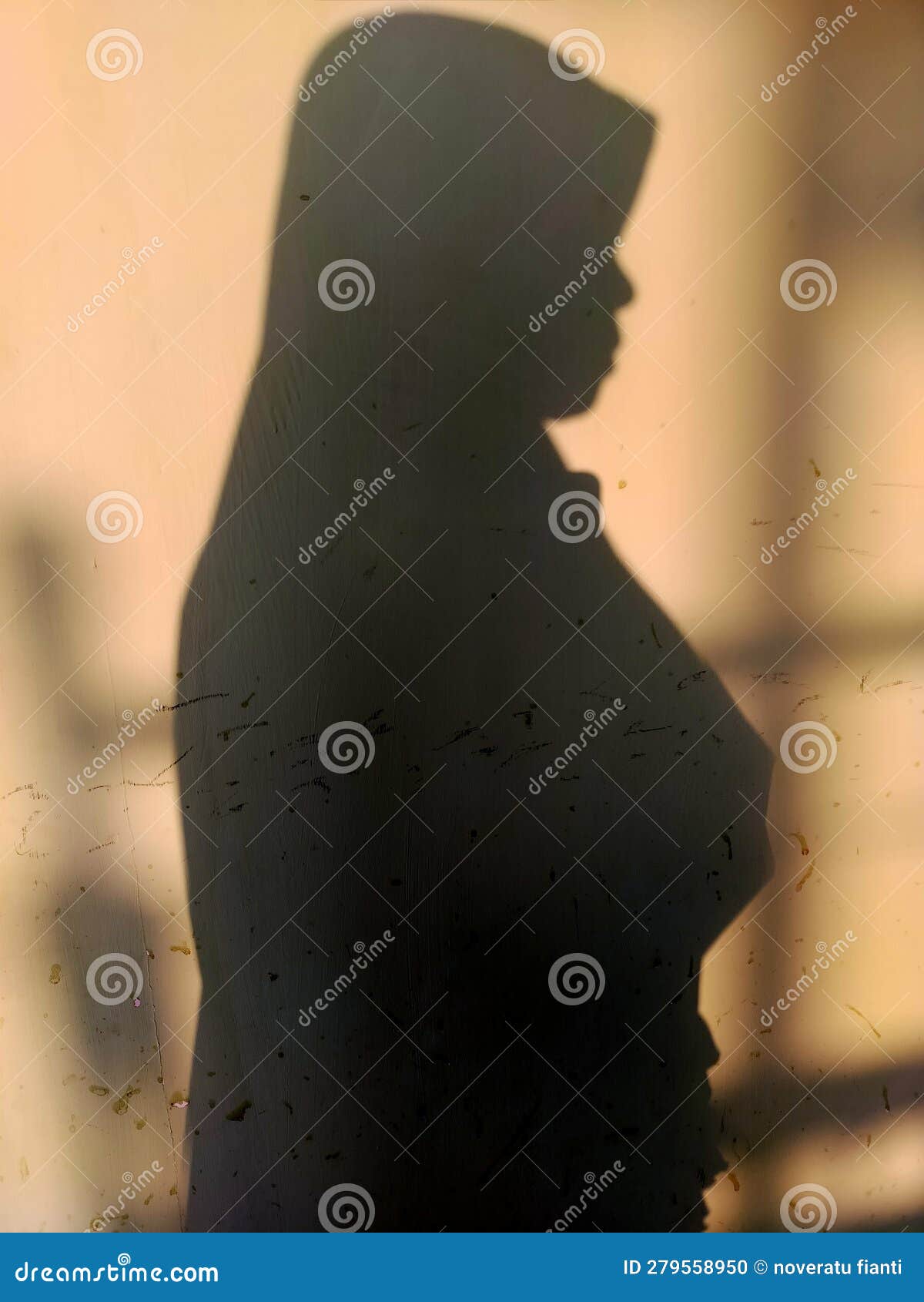 Silhouette or Shadow of a Veiled Woman. Contemplating. Stock Photo ...
