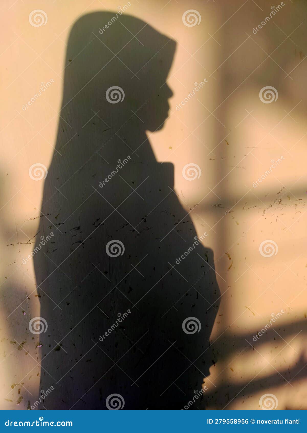 Silhouette or Shadow of a Veiled Woman. Contemplating. Stock Photo ...