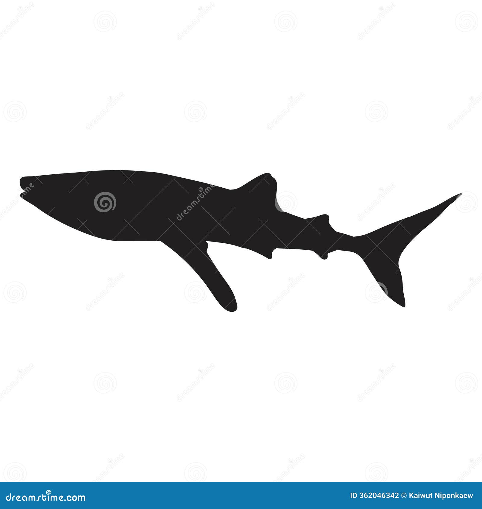 Silhouette Of A Whale Or Dolphin Vector Illustration | CartoonDealer ...
