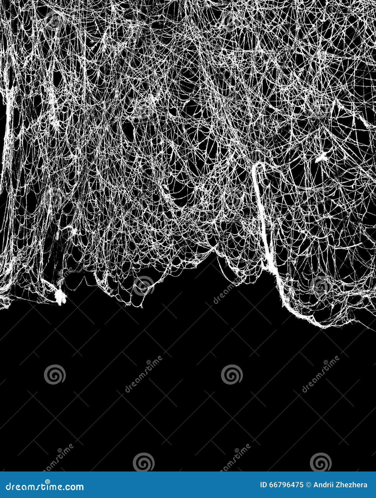 Silhouette of White Old Hanging Cobweb on Black Background Stock Image ...