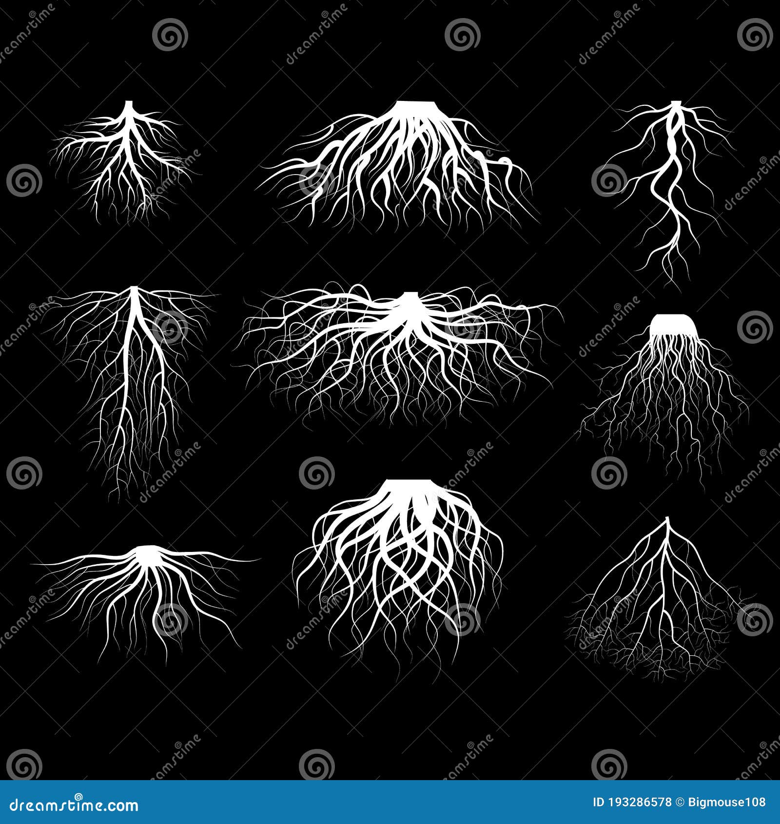 Silhouette White Tree Roots Various Types Shapes Set. Vector Stock ...