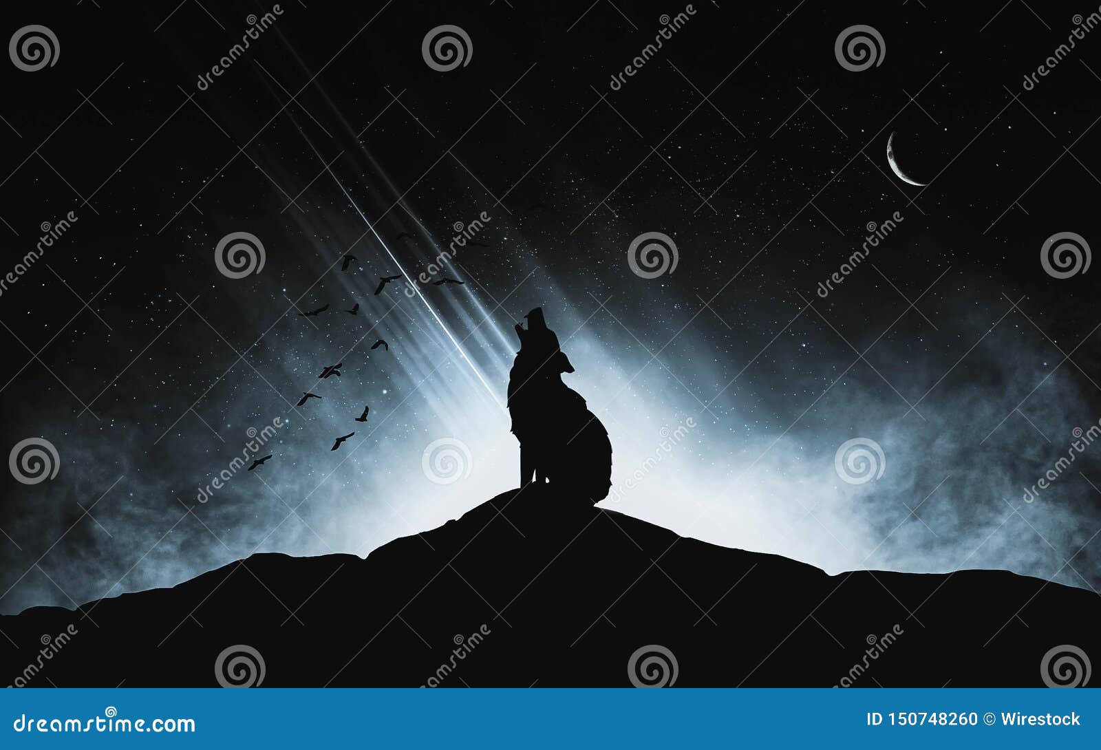 A Silhouette of a Wolf Howling at the Moon on a Dark Hill with a Light ...