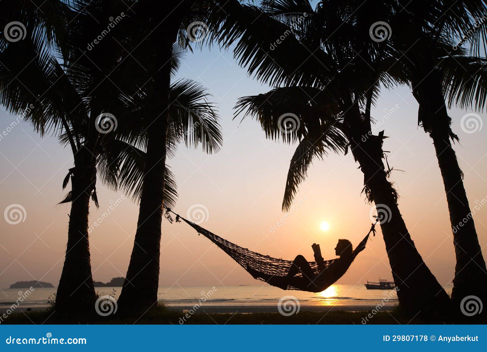 Sunset in Hammock on the Beach Stock Photo - Image of island, outdoors ...