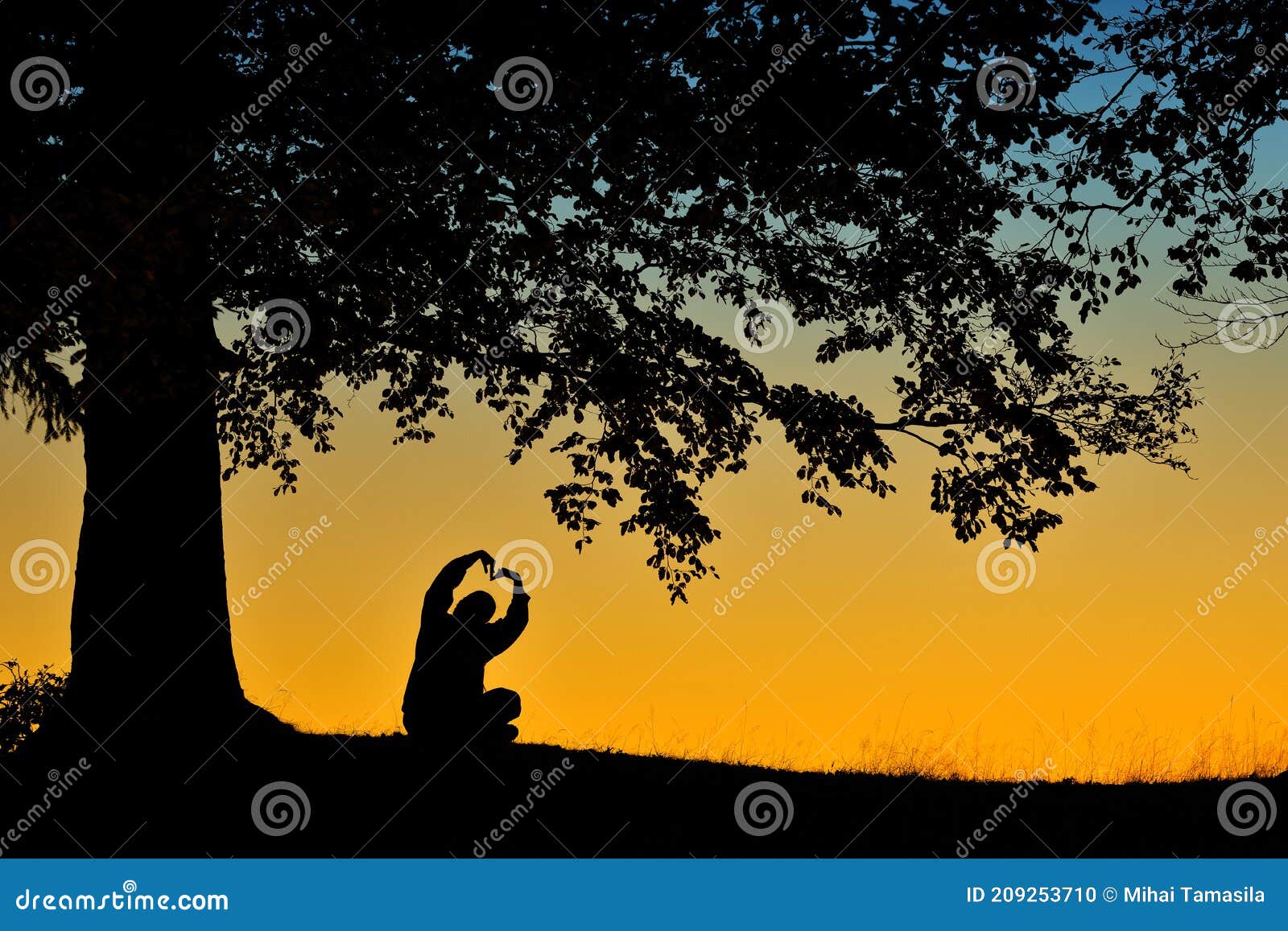 Silhouette of Woman Raising Hands in Form of a Heart, Under a Tree, at ... Silhouette of Woman Raising Hands in Form of a Heart, Under a Tree, at ...