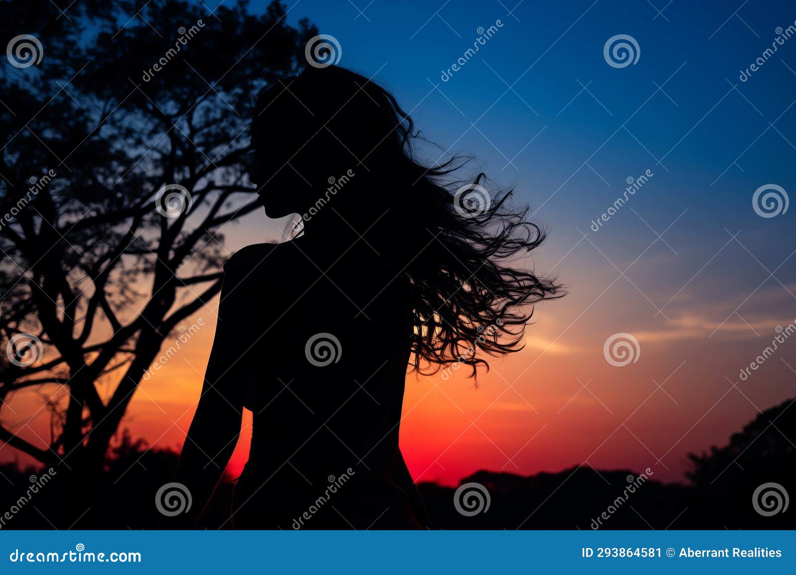 Silhouette Of A Woman Standing In Front Of A Tree At Sunset Stock Image