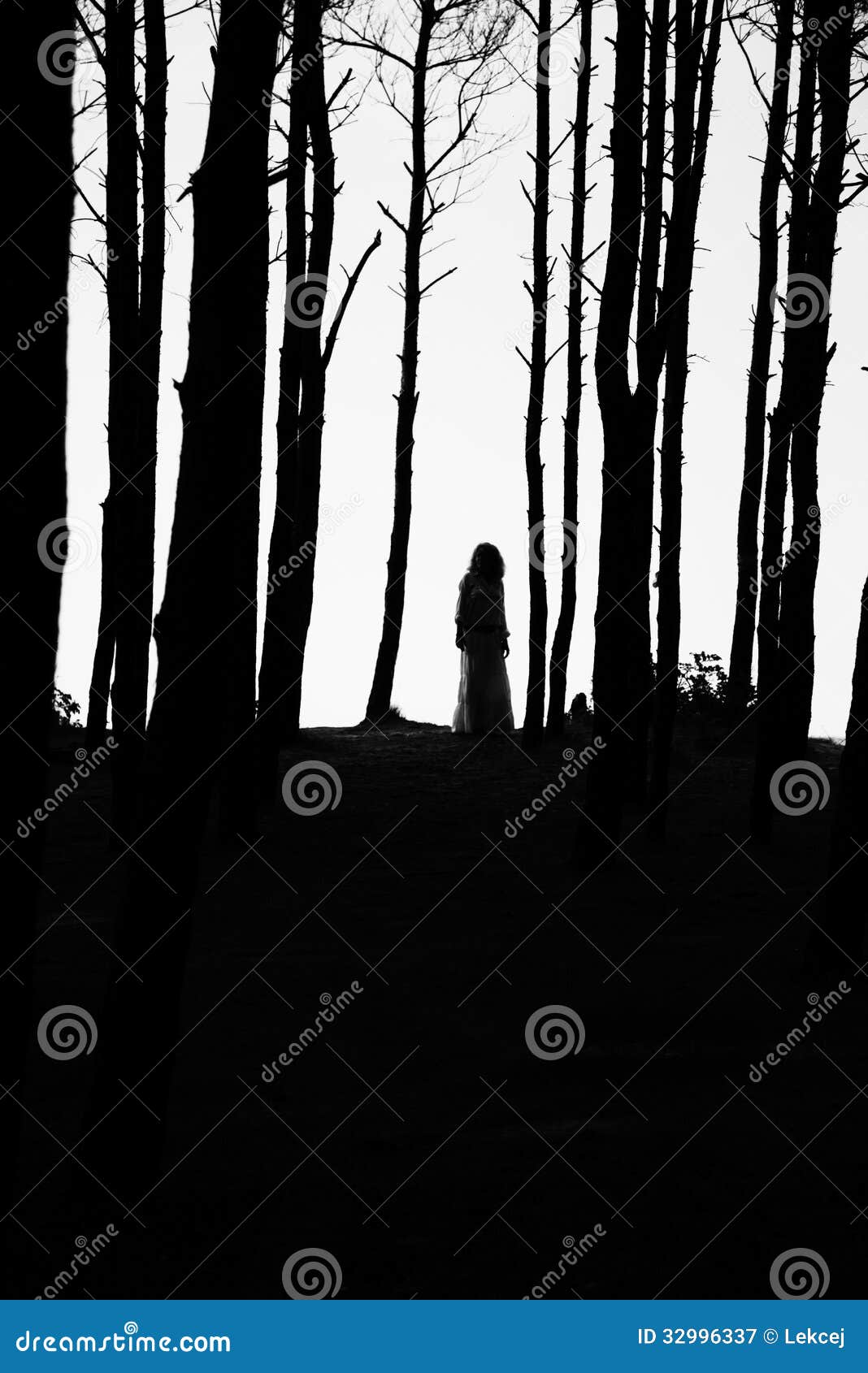 Silhouette Woman between Trees Stock Image - Image of light, park: 32996337