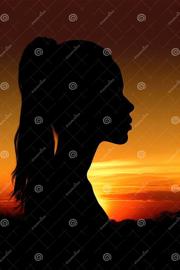 Silhouette of a Womans Profile Against Sunset Stock Illustration ...