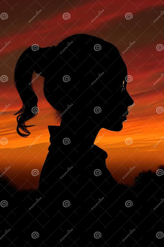 Silhouette of a Womans Profile at Sunset Stock Illustration ...