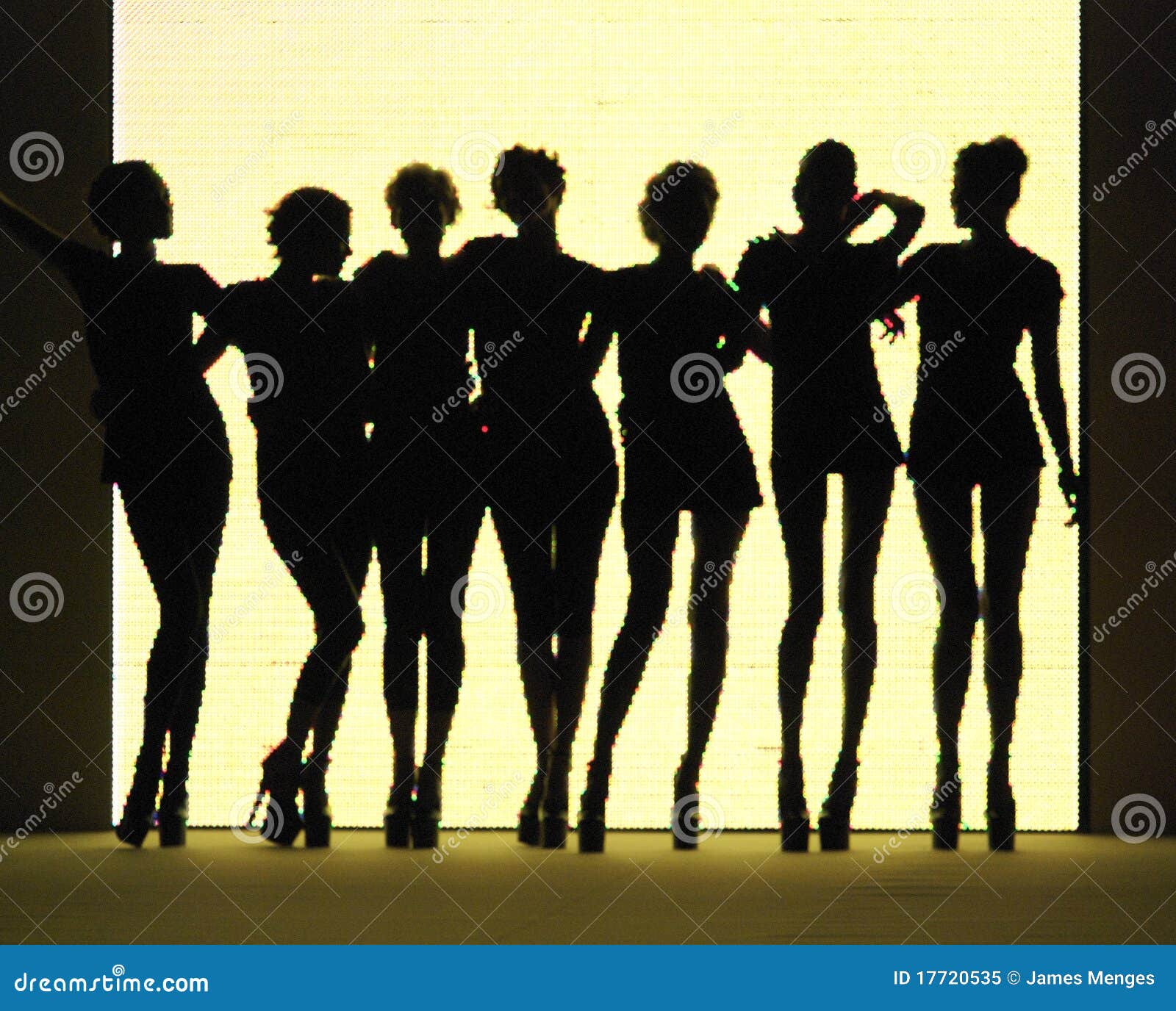 Women Silhouette Stock Photography | CartoonDealer.com #40006982