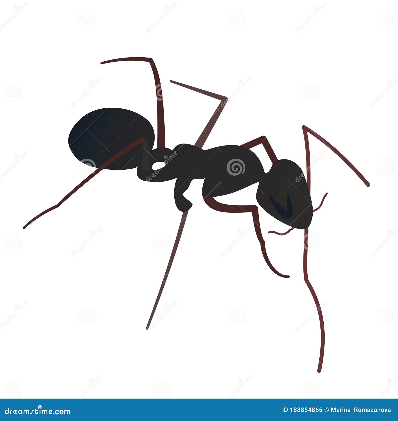 Insect Icon, Funny Black Ant Side Stock Vector - Illustration of danger ...