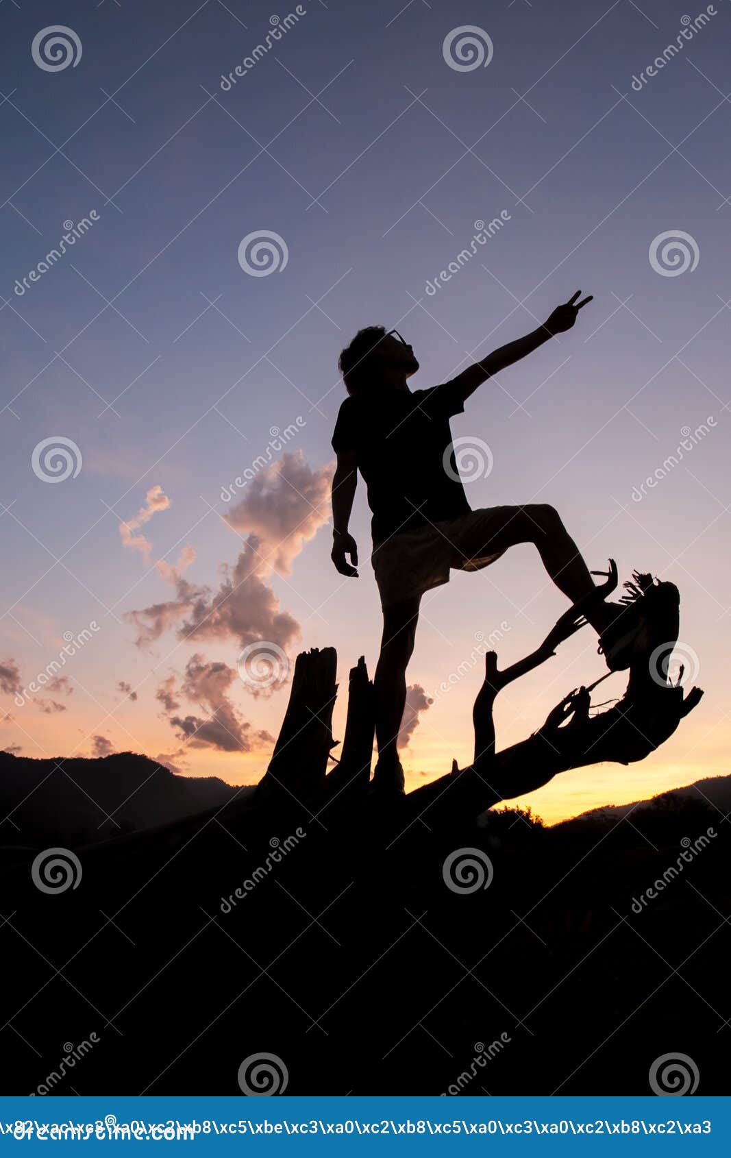 Silhouette of a Young Boy on a Log Surrounded by Shadows of Mountains ...