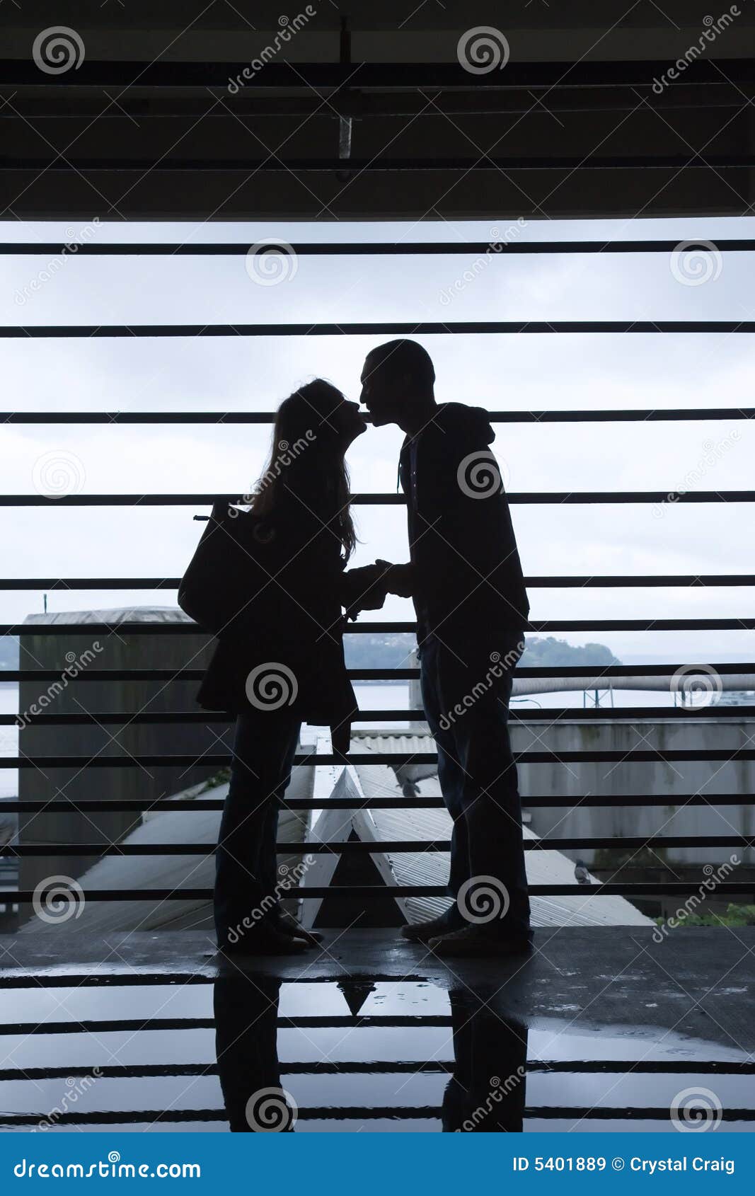 Silhouette of Young Couple Kissing Stock Image - Image of male, holding ...