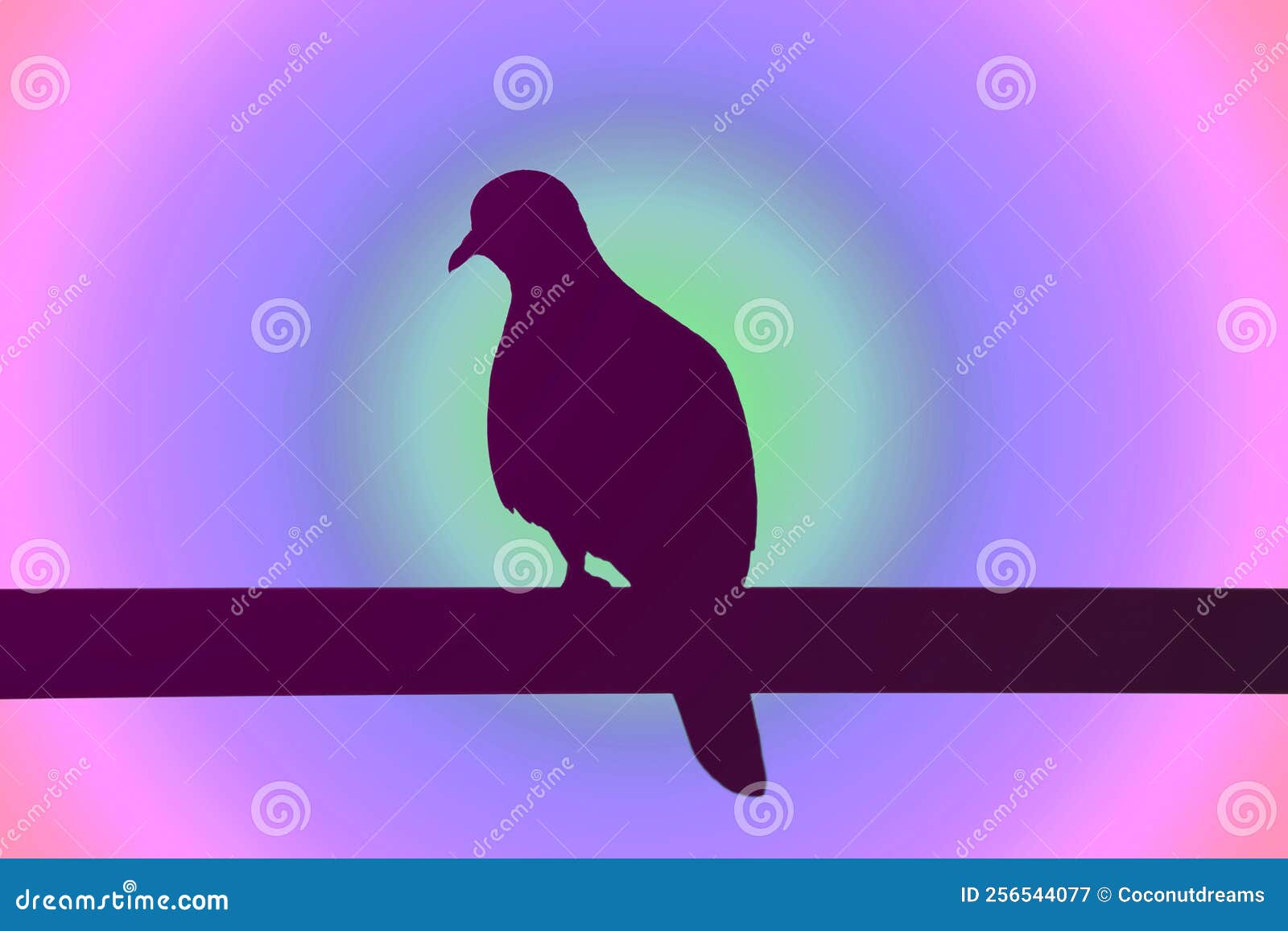 Zebra Dove Geopelia Striata Barred Ground Dove Or Barred Dove WPA Art ...