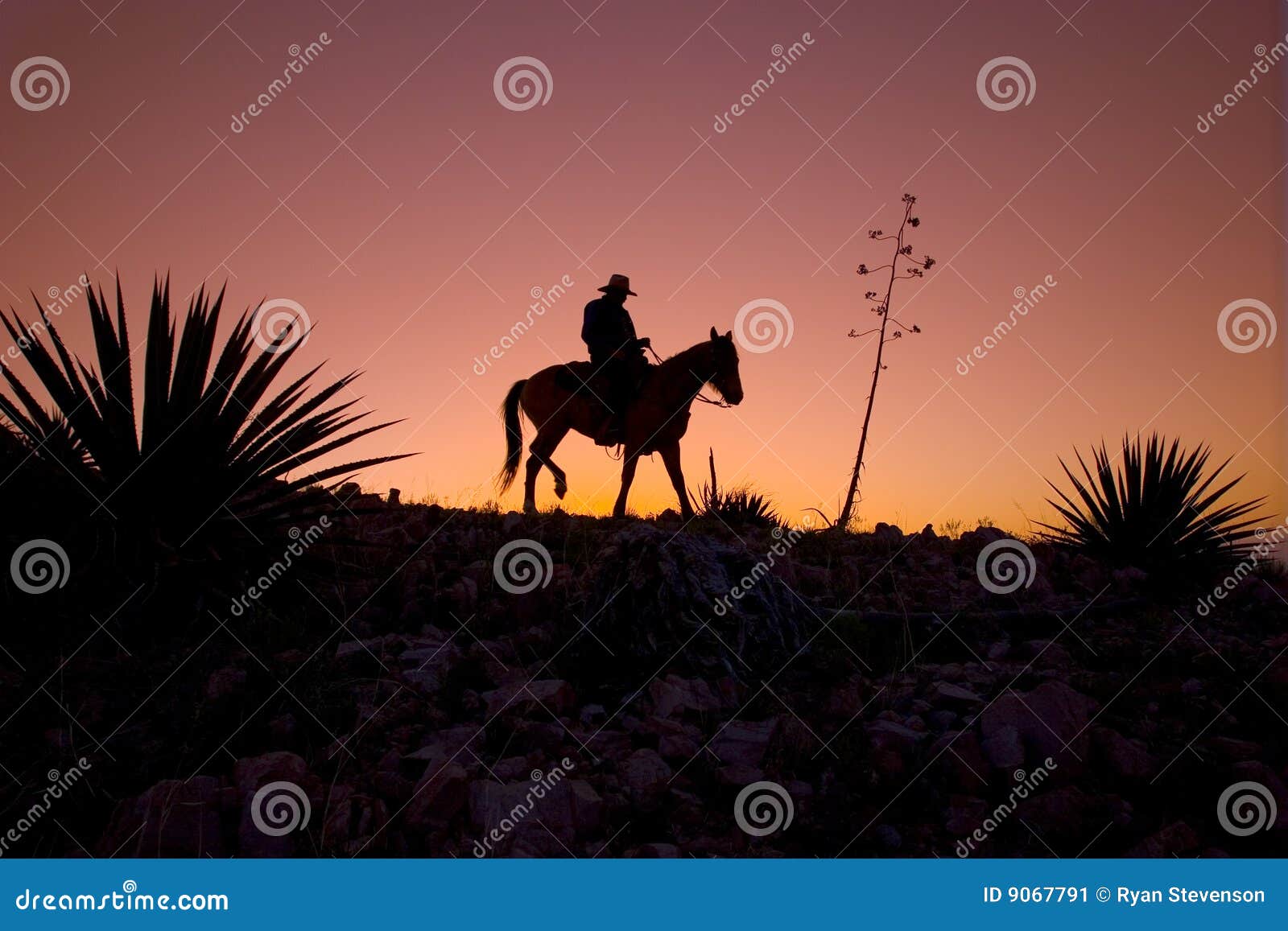 Silhouetted Cowboy stock image. Image of late, leisurely - 9067791