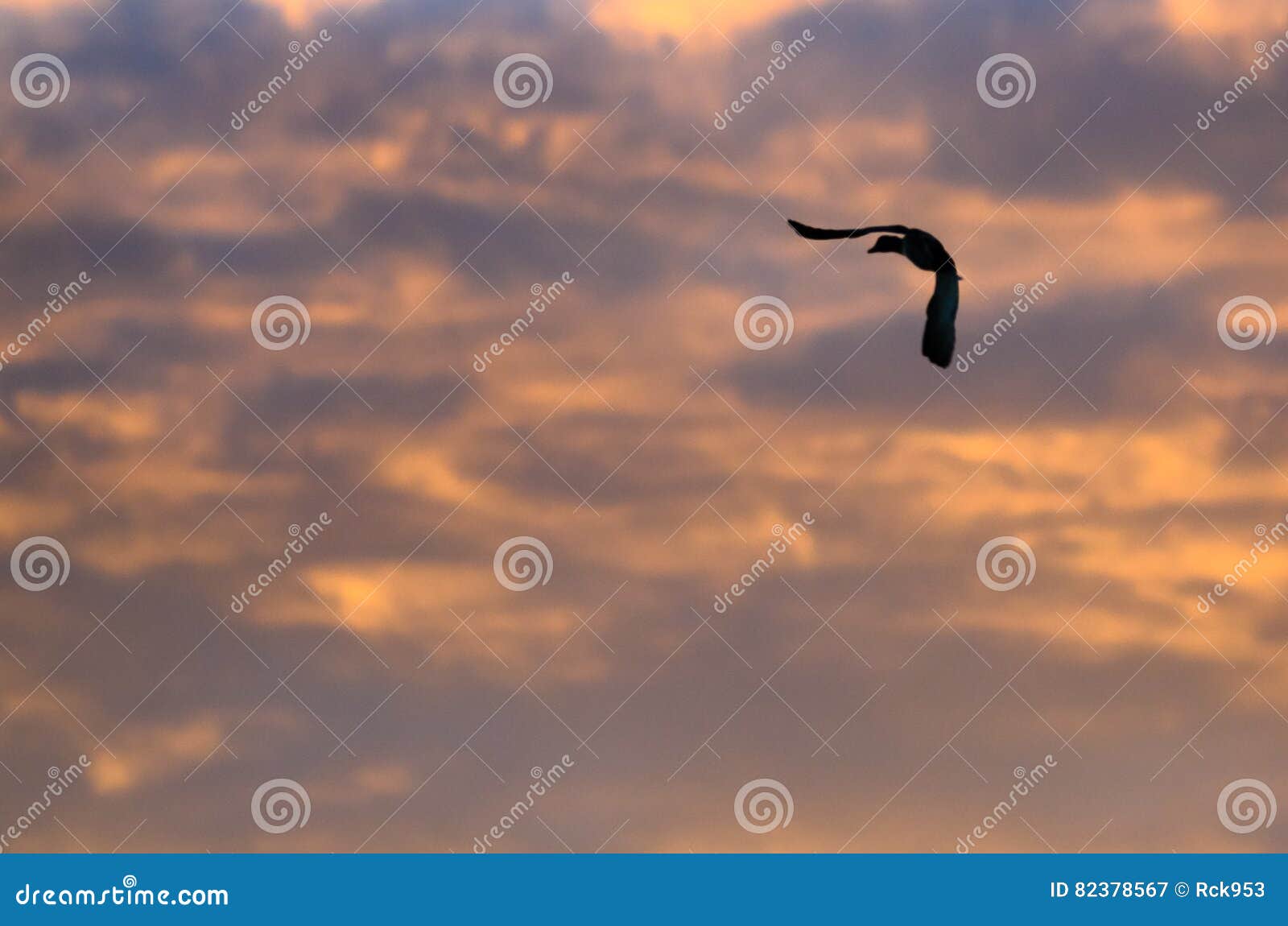 Silhouetted Ducks Flying in the Sunset Sky Stock Image - Image of ...
