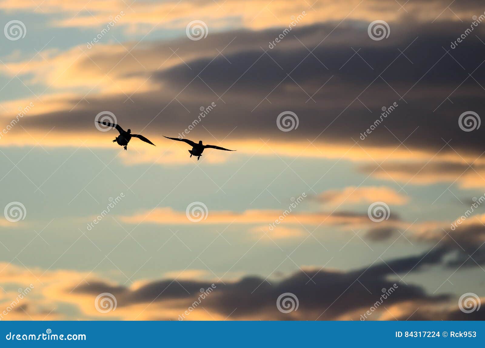 Silhouetted Ducks Flying in the Sunset Sky Stock Photo - Image of dawn ...