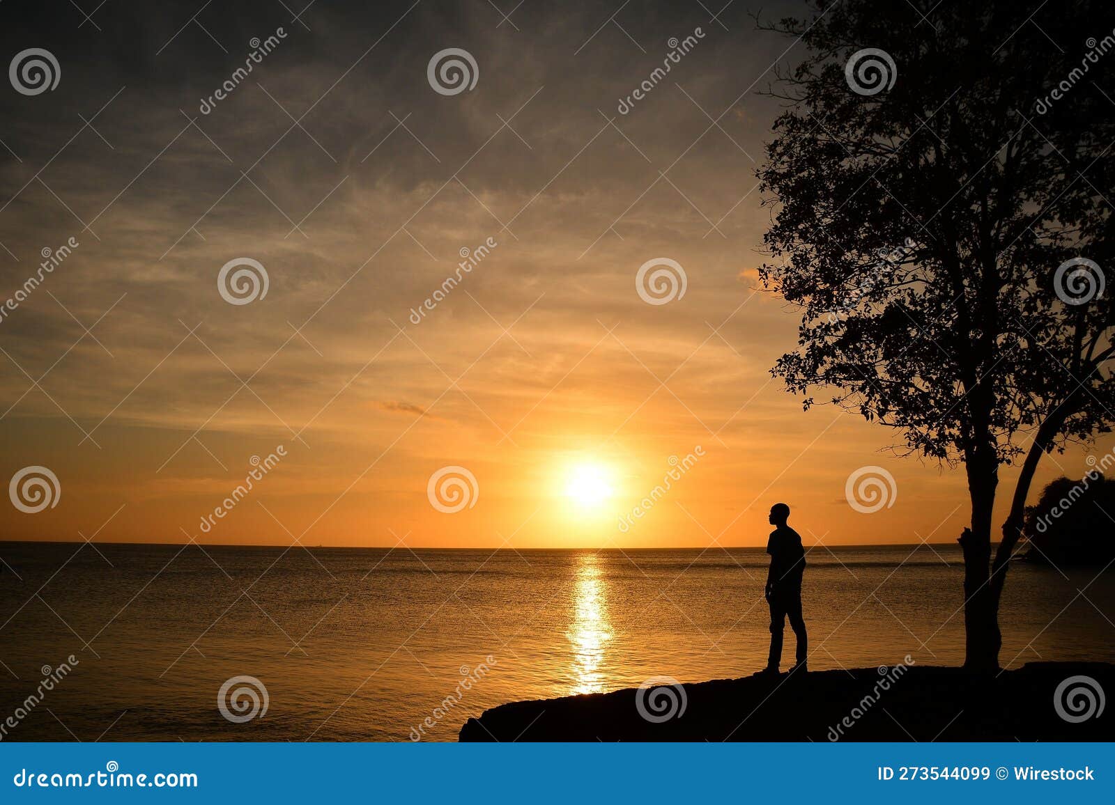 Silhouetted Man Stands on a Beach at Sunset, Looking Out Over the ...