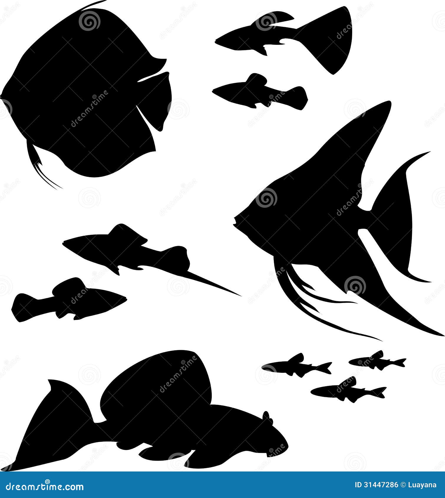 Silhouettes of Aquarium Fish Stock Vector - Illustration of catfishes ...
