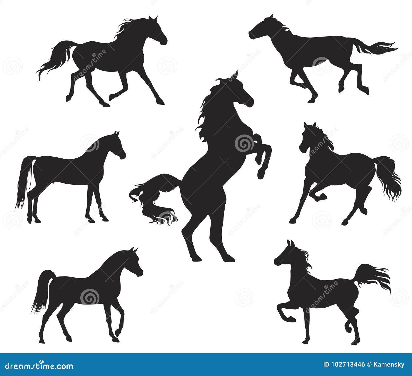 Arabian Horse silhouette stock vector. Illustration of black - 102713446