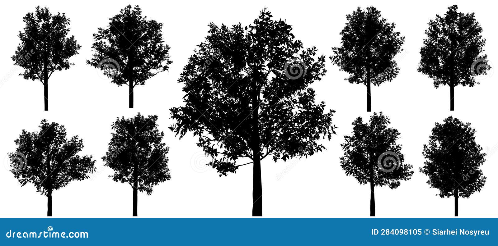 Silhouettes of Beautiful Ash Trees, Set. Vector Illustration Stock ...