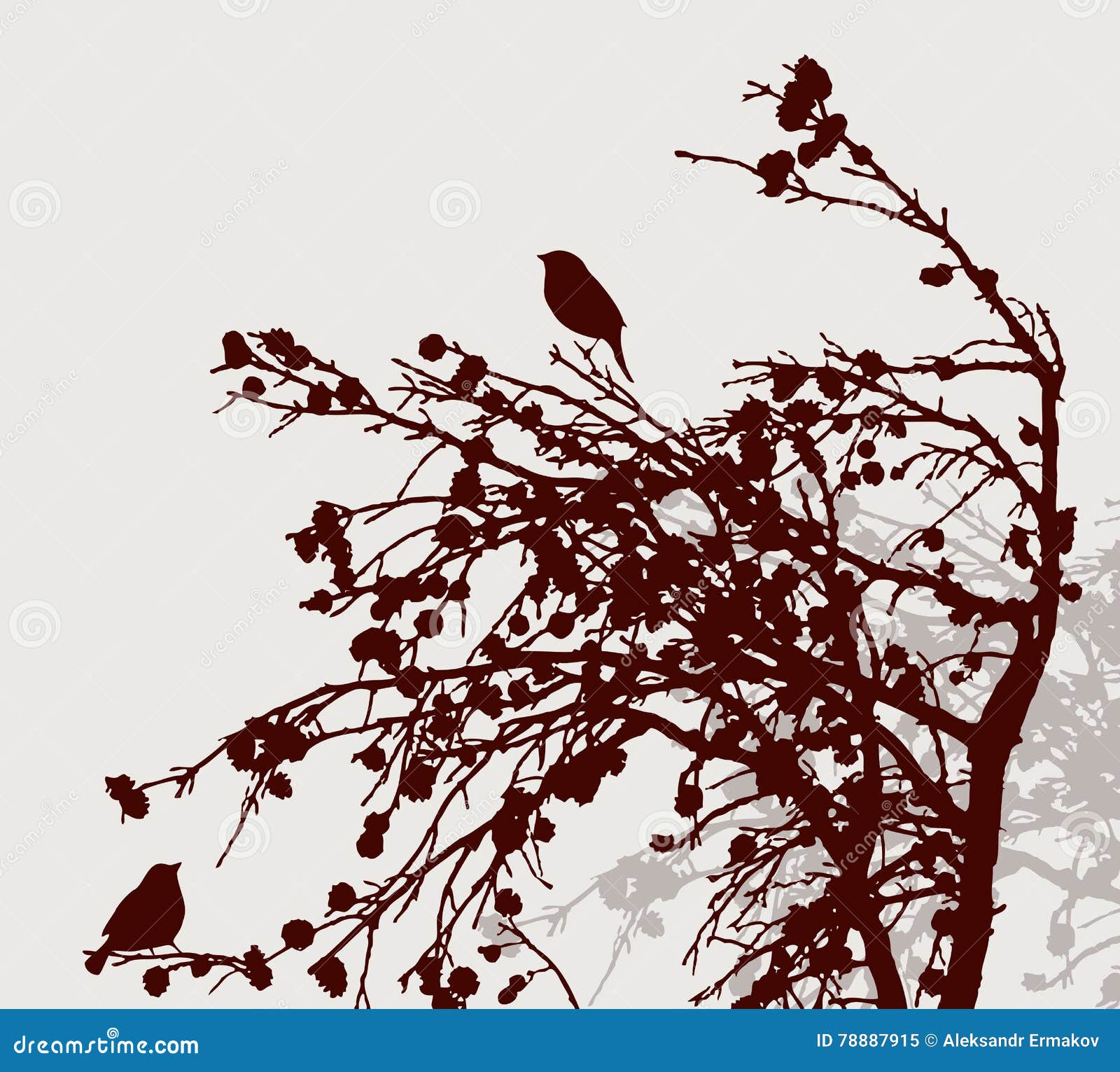 Silhouettes of the Birds on the Pine Branches Stock Vector ...