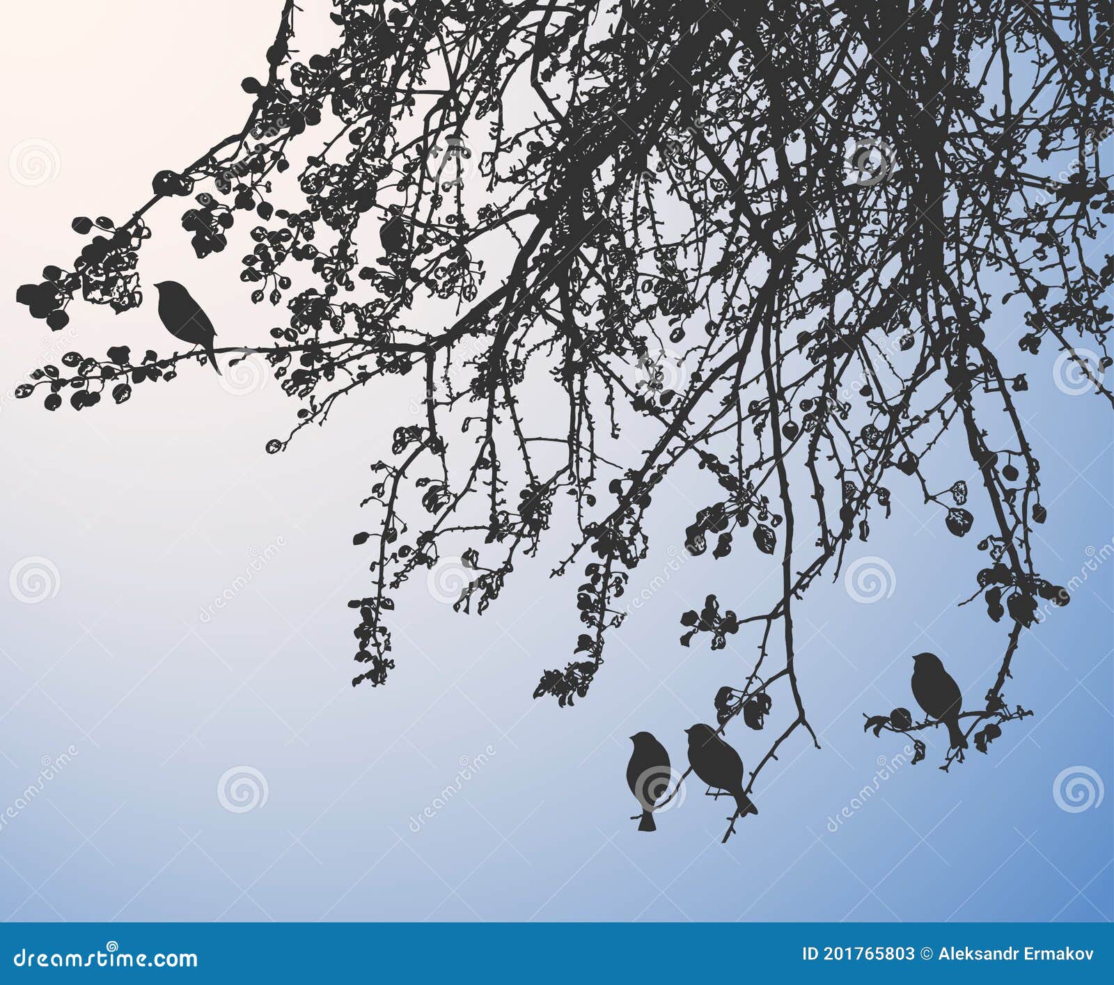 Silhouettes Birds on Tree Branches in Morning Forest Stock Vector ...