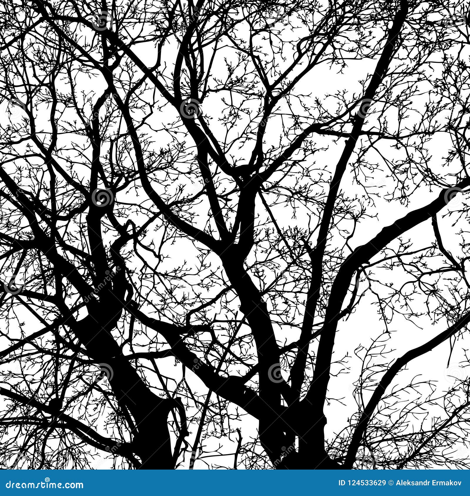 Silhouettes of Deciduous Trees in Winter Stock Vector - Illustration of ...