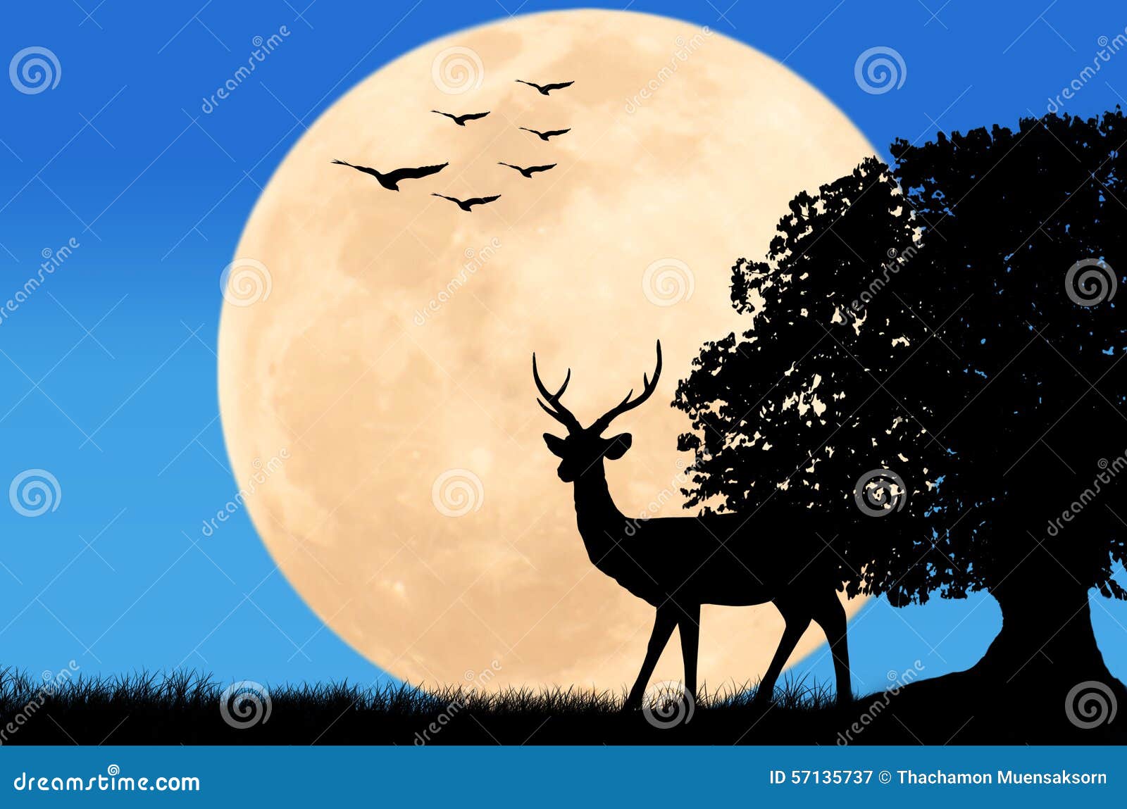 Silhouettes of Deer on Full Moon Stock Image - Image of morning, beauty ...
