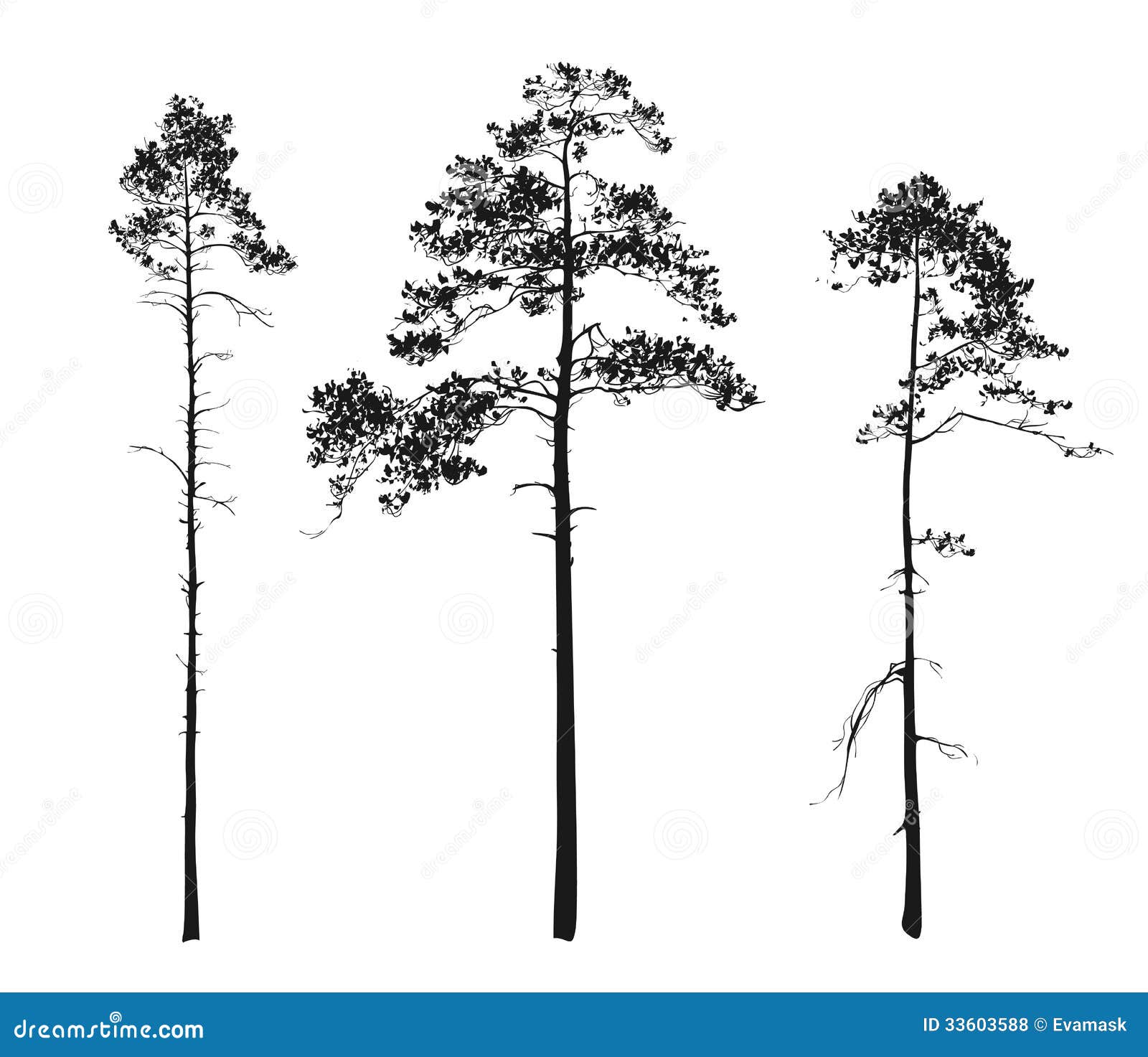 Silhouettes Des Arbres. Pin Illustration de Vecteur - Illustration du ...