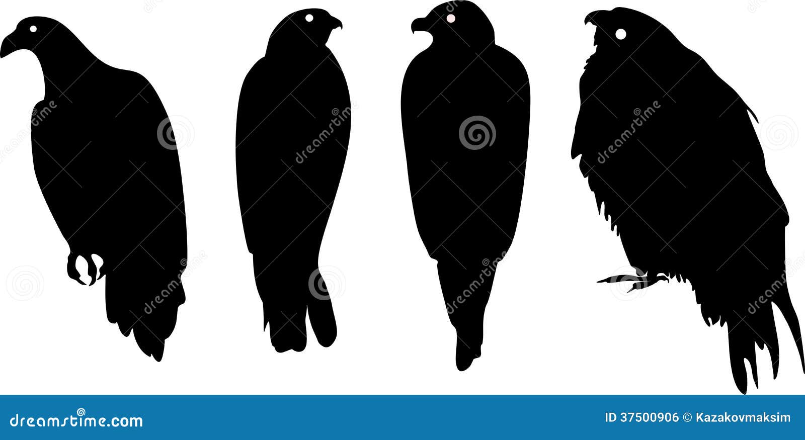 Birds Of Prey Silhouettes Vector Illustration | CartoonDealer.com #78142364