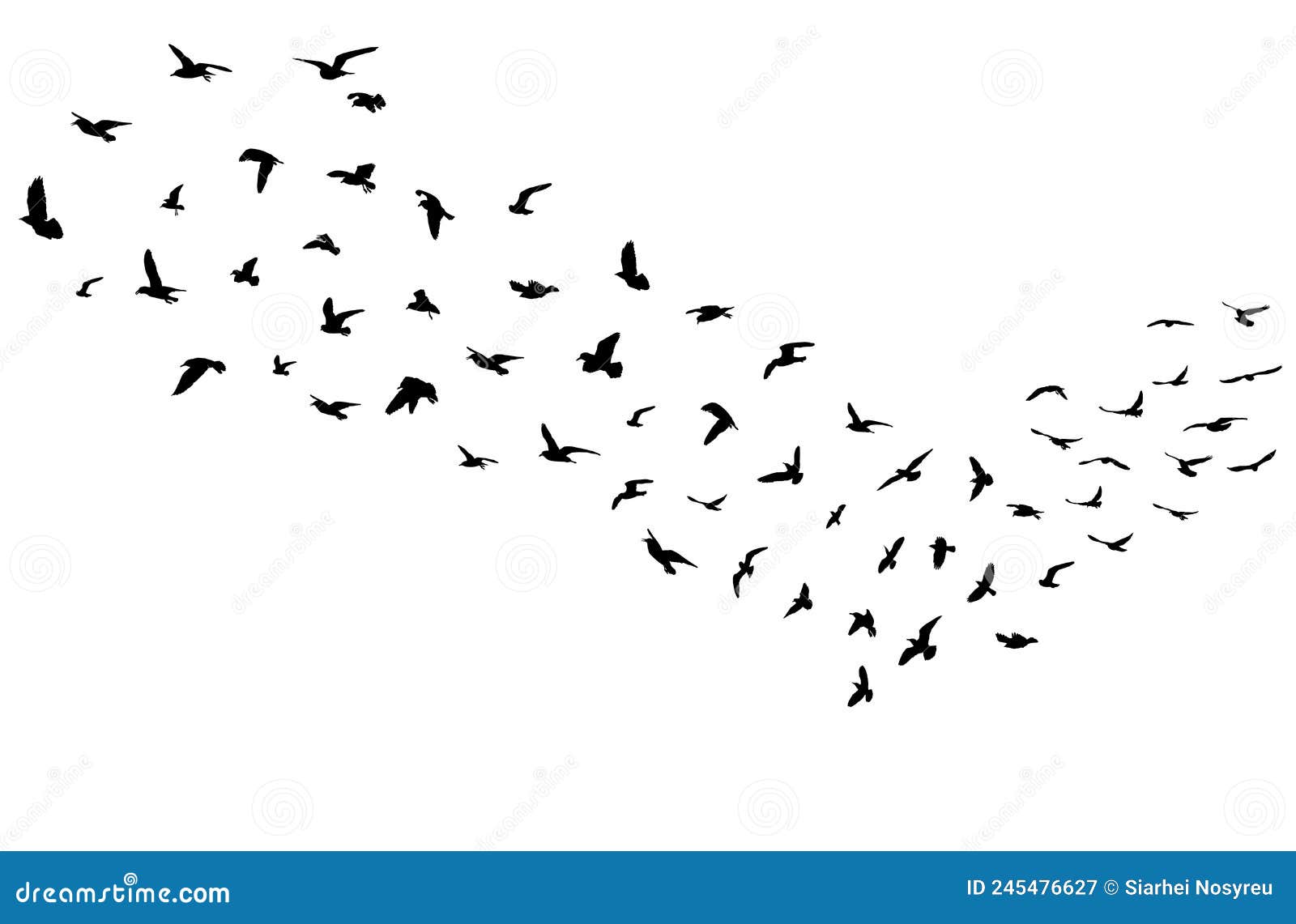 Silhouettes Of A Flock Of Birds. Vector Illustration. Simple Background ...