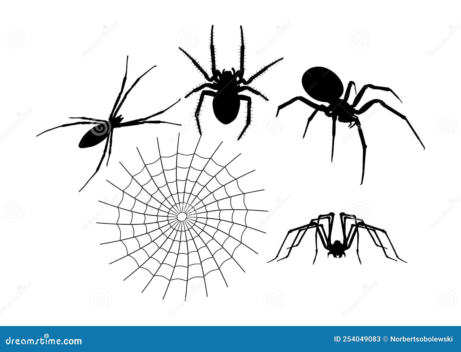 Five Spider Designs Vector Illustration | CartoonDealer.com #4018372