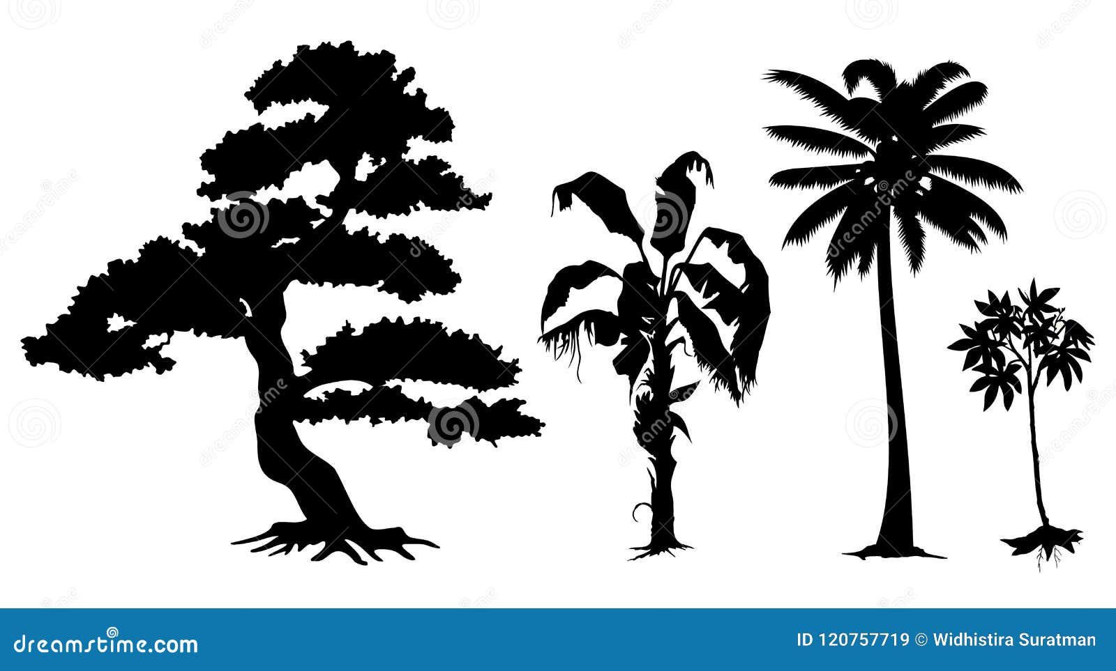 Silhouettes of Large and Small Trees Stock Vector - Illustration of ...