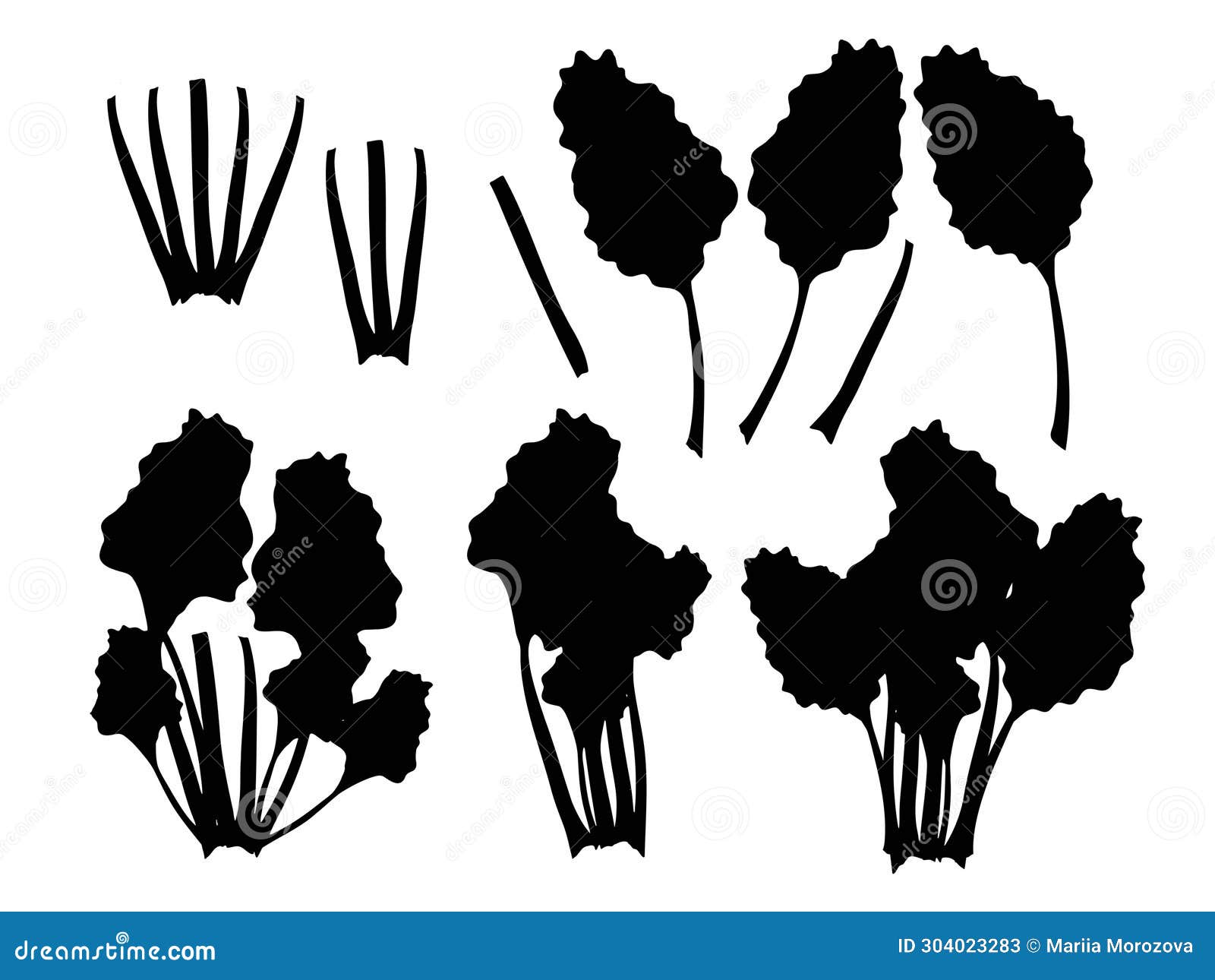 Silhouettes of Leaves of Root Crops. Black and White Leaves Isolated on ...