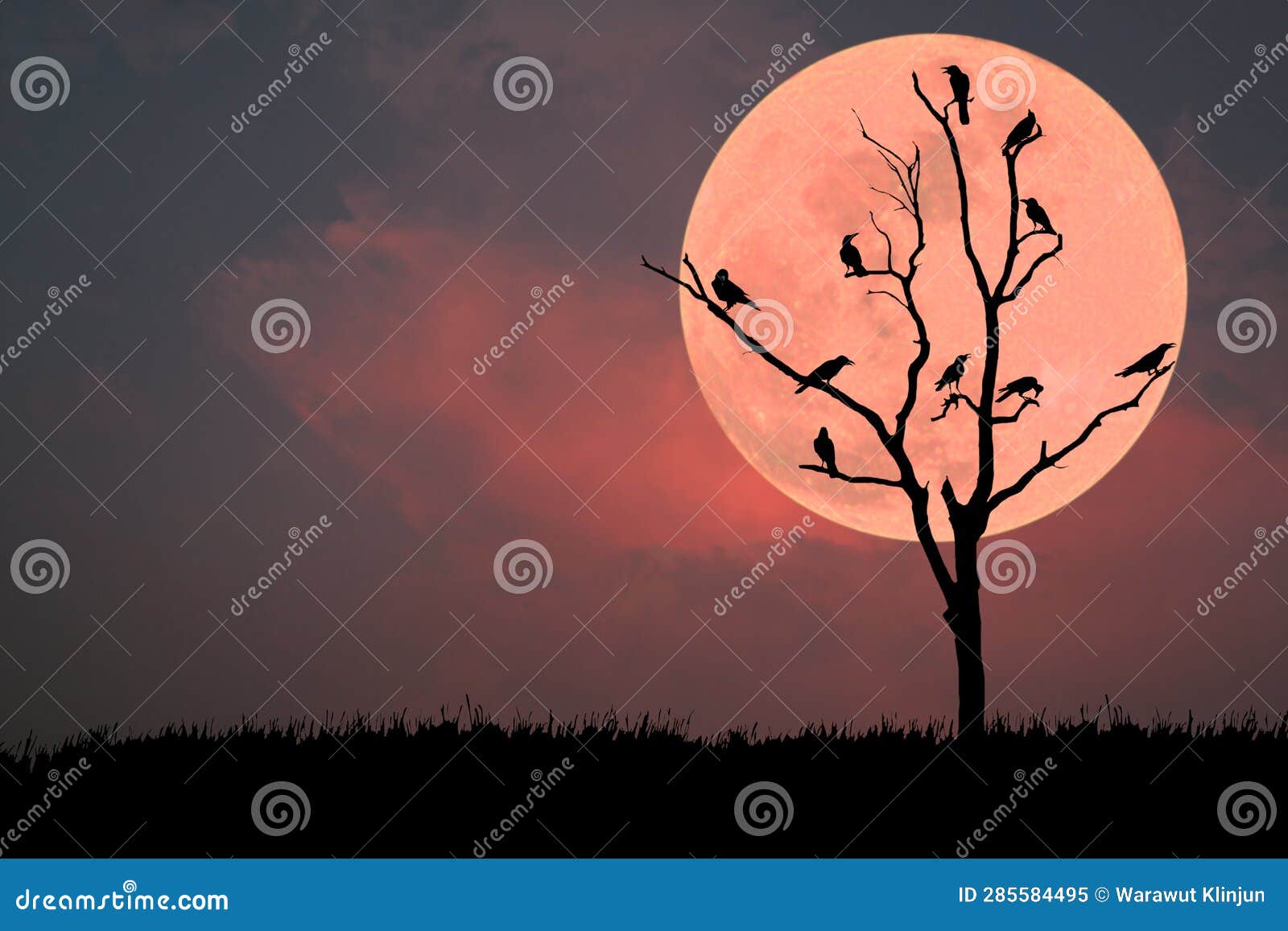 Silhouettes of Many Crows Perched on a Treeless Tree. Stock Image ... Silhouettes of Many Crows Perched on a Treeless Tree. Stock Image ...