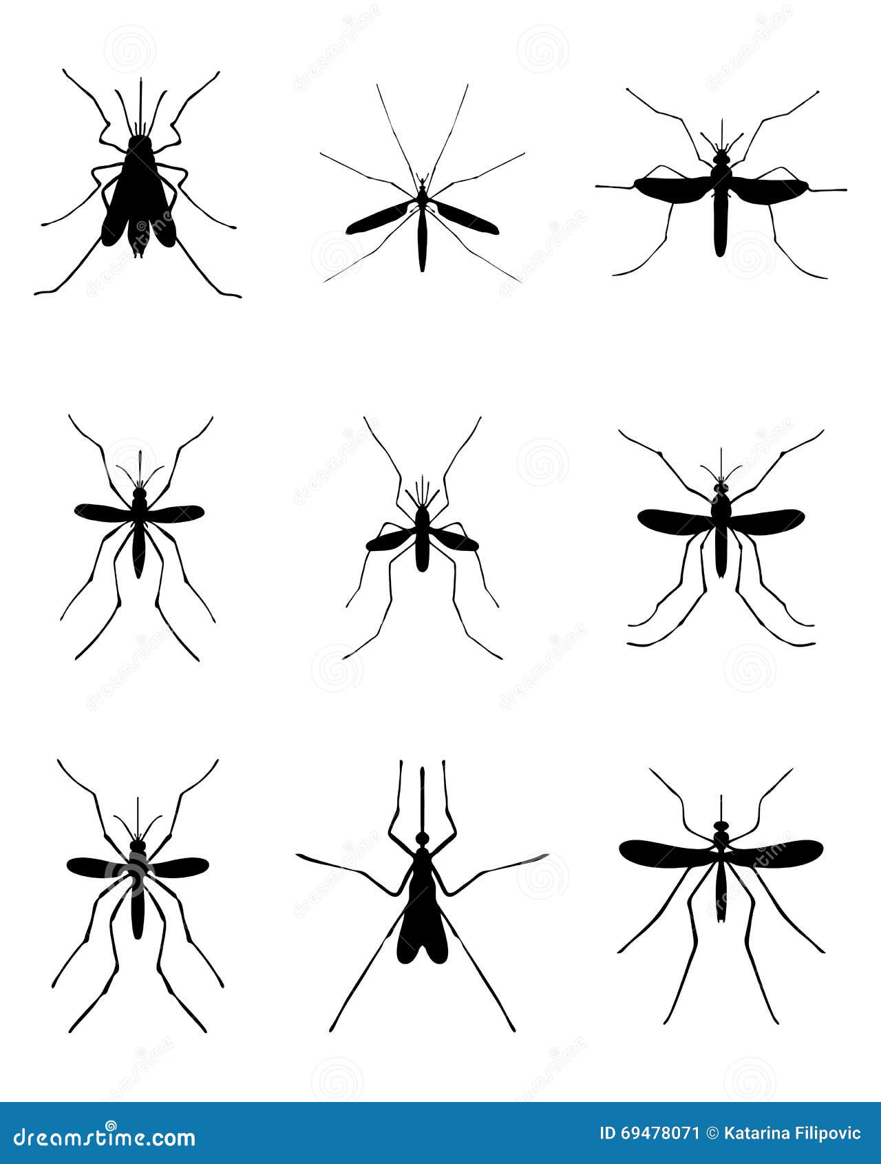 Silhouettes of mosquito stock illustration. Illustration of background ...