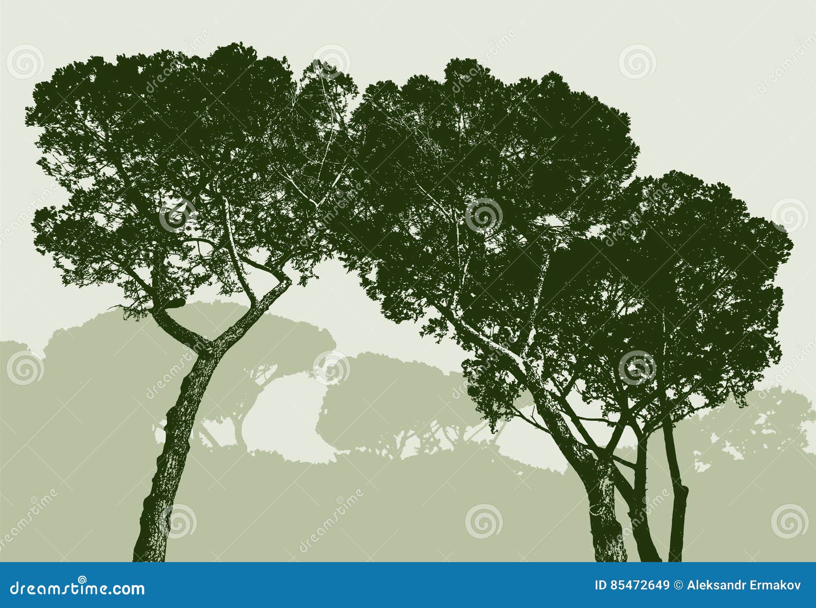 Silhouettes of the Pine Trees Stock Vector - Illustration of botany ...