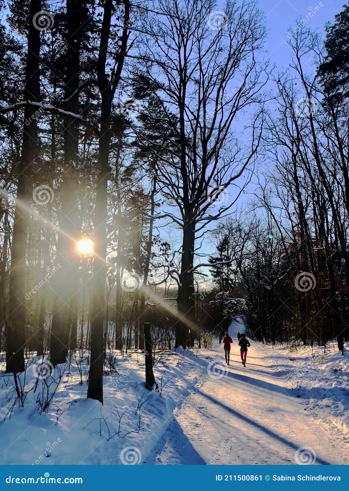 Silhouettes of Runners on a Snowy Path in the Woods Editorial Photo ...