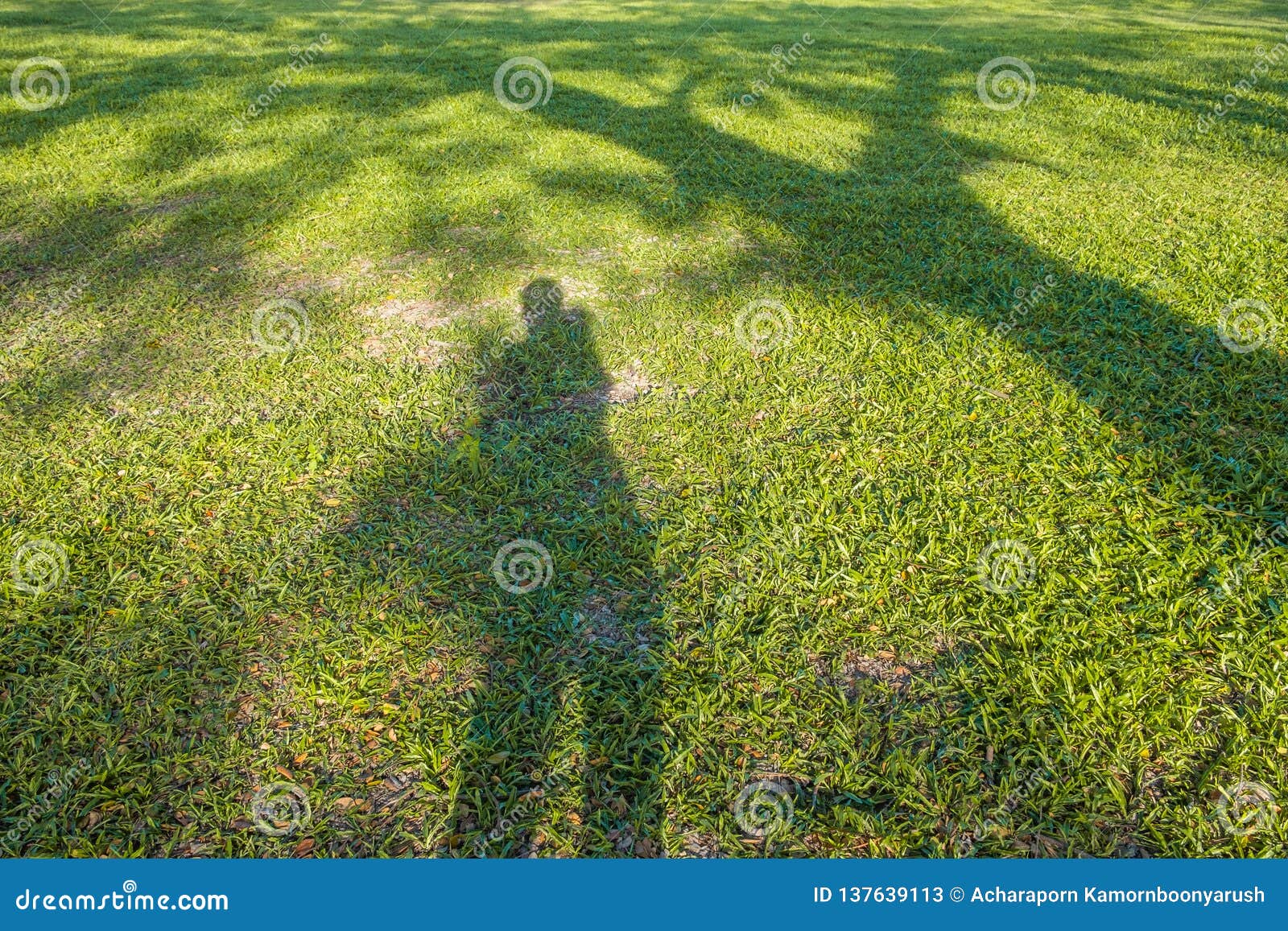 Shadow of One Person Standing on Grass Stock Image - Image of happy ...