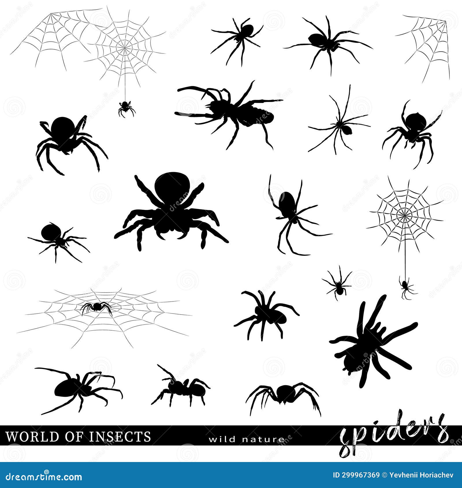 Silhouettes of Spiders and Spiderweb. Stock Vector - Illustration of ...