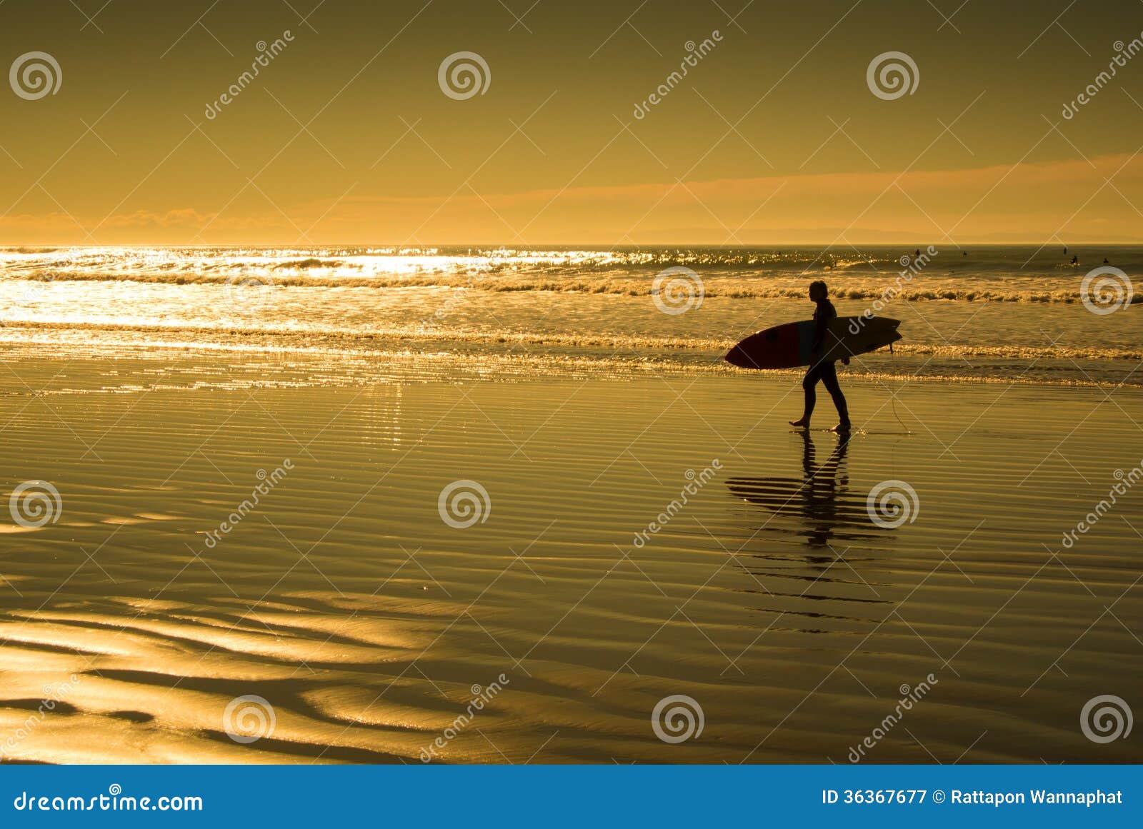 Silhouettes of Surfer in Sunset Stock Image - Image of orange, portugal ...