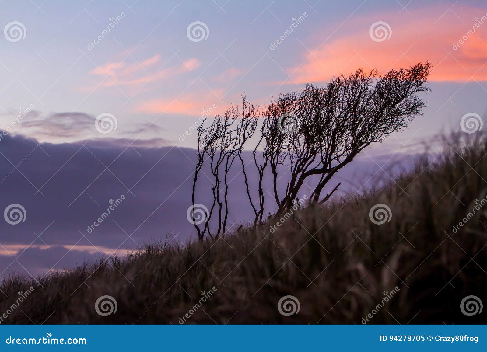 1,180 Threes Background Photos - Free & Royalty-Free Stock Photos from ...