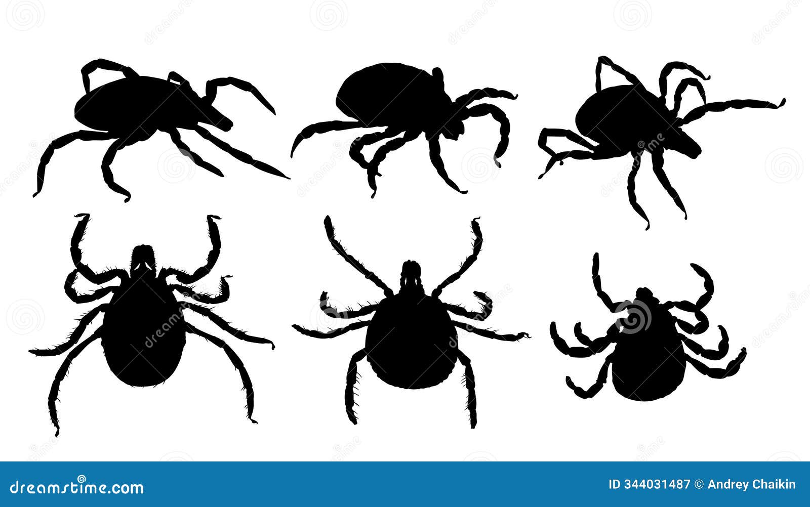 Silhouettes Of Ticks. Vector Illustration | CartoonDealer.com #102163252